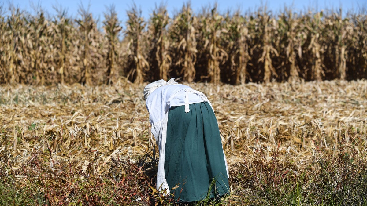 Harriet Tubman in Maryland: Life as child slave on Brodess Farm