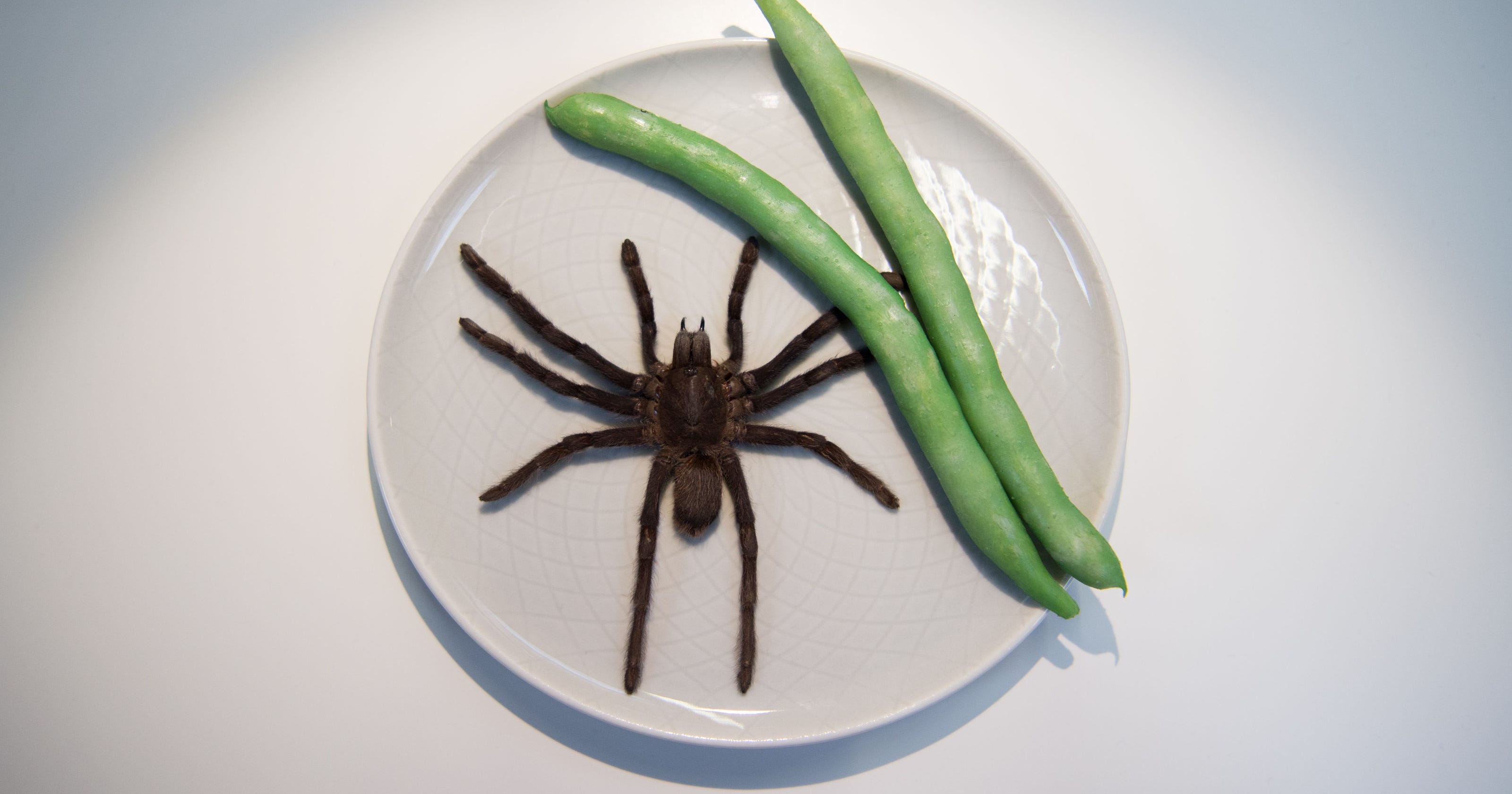 Disgusting Food Museum Food So Gross You Have To Try It Disgusting Food Museum Food So Gross You Have To Try It