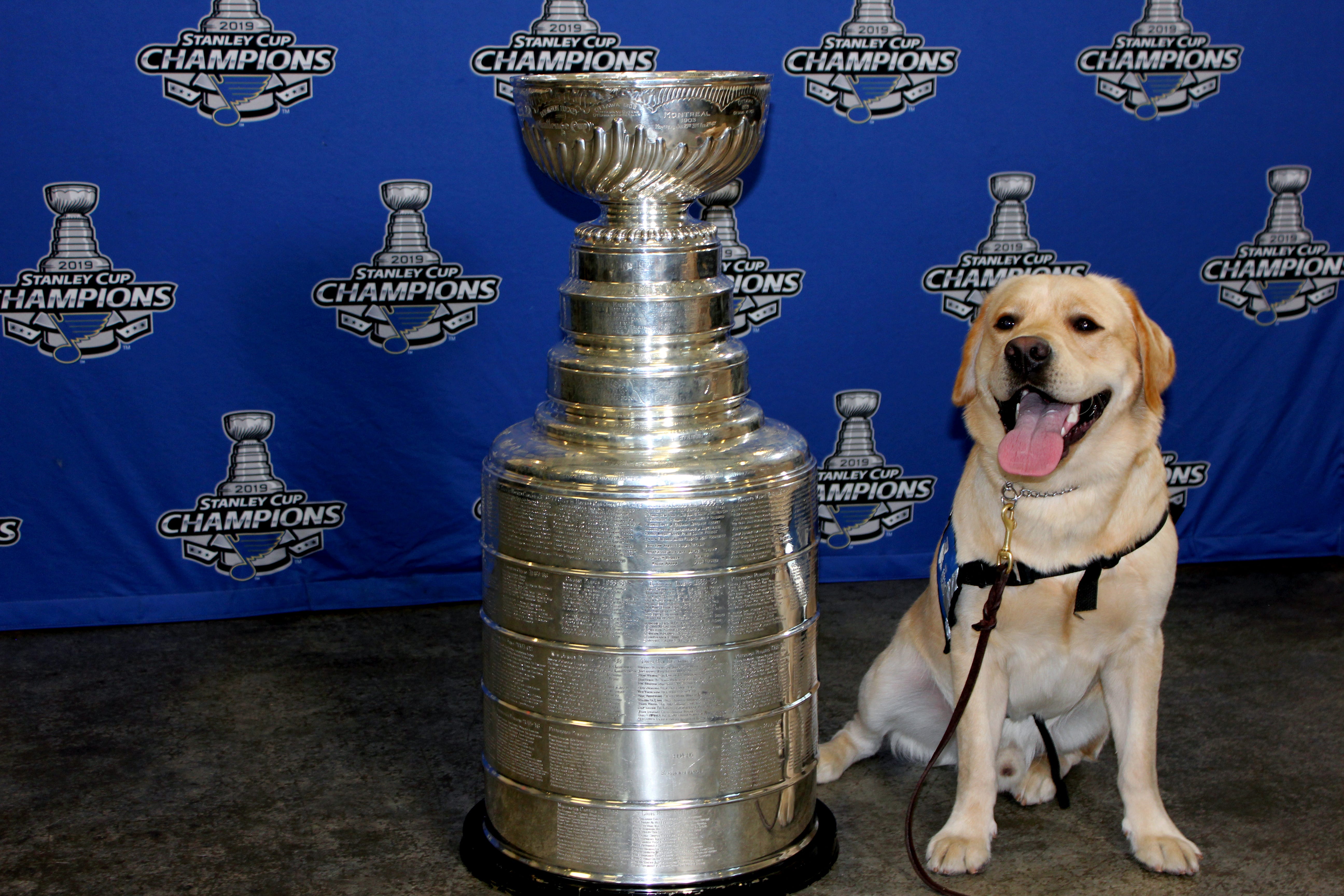 NHL teams are adding dogs to their rosters: Meet some of the pooches