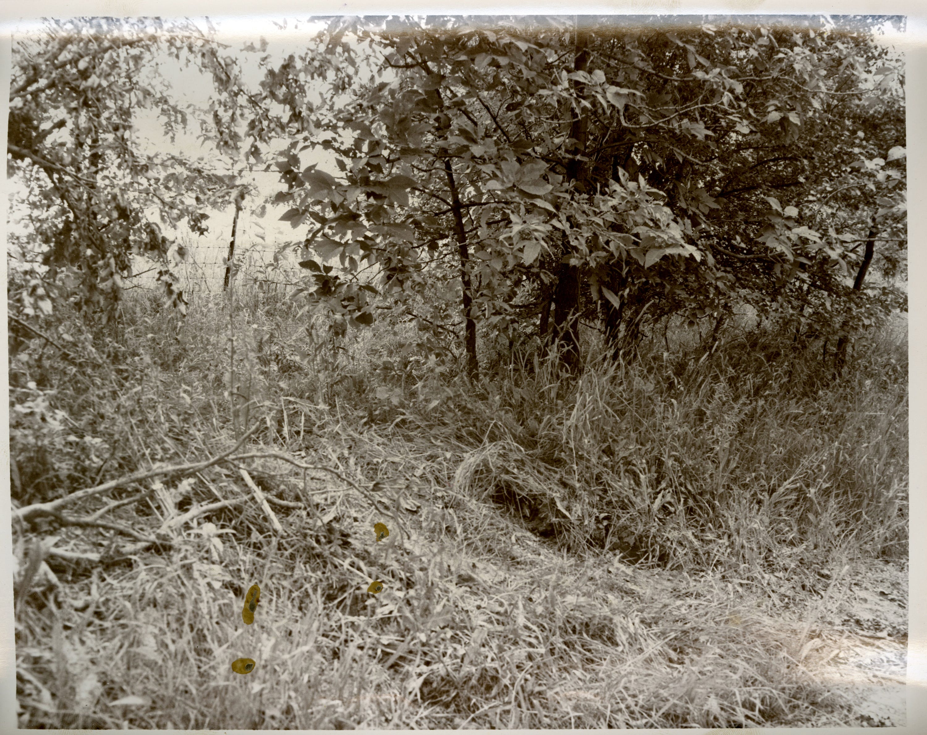 Photos, evidence in Michigan murders case against John Norman Collins