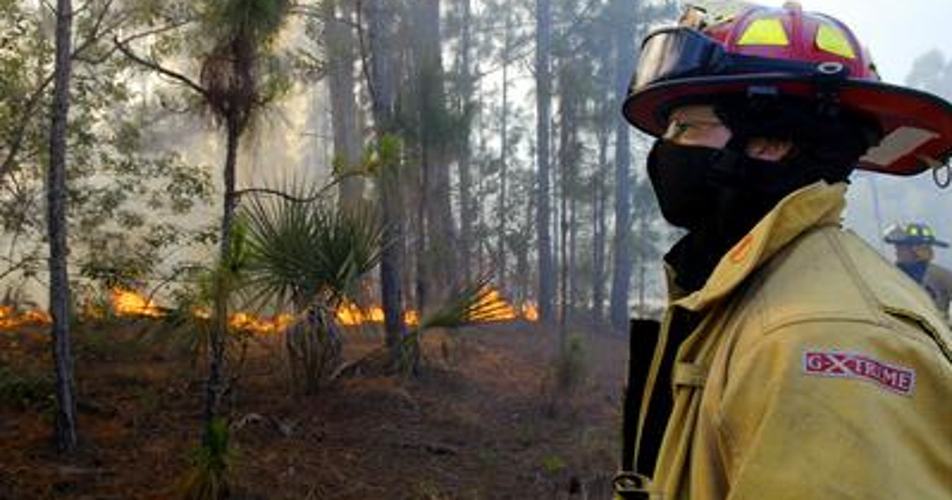 Melbourne Fire Department crews check for flareups at site of brush fire