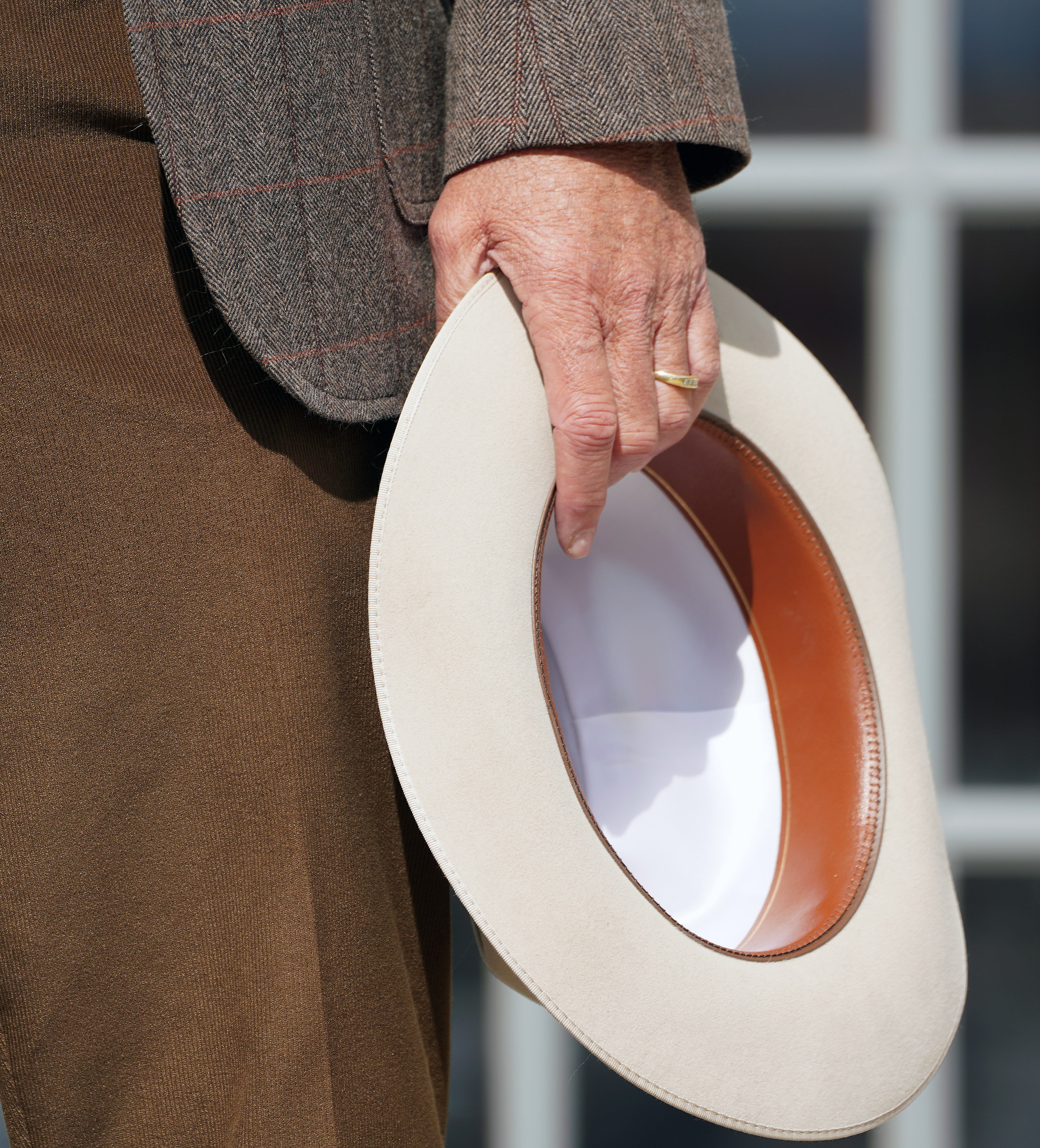 National parks: Federal judge oversees wild court at Yellowstone