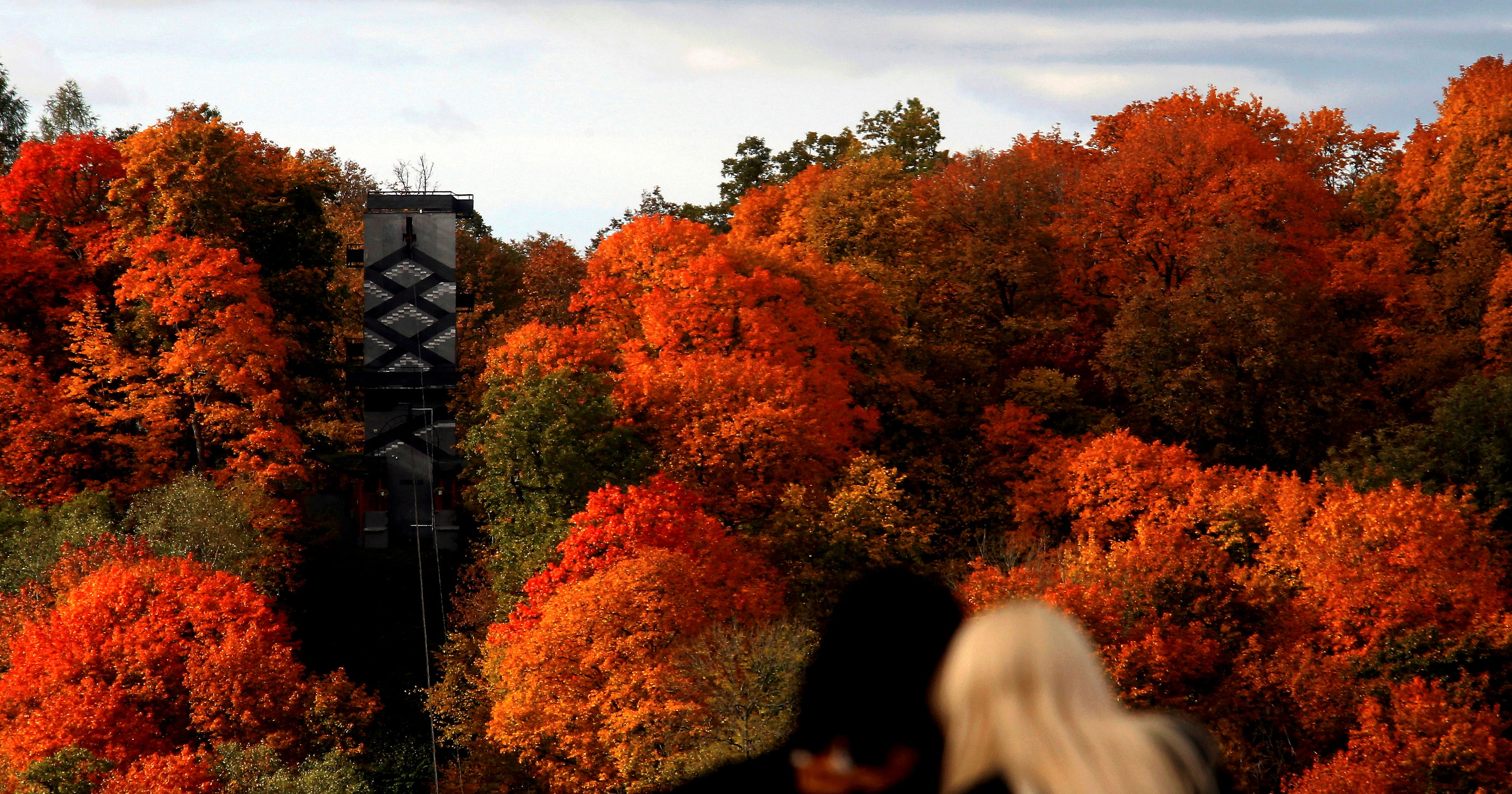 Beautiful fall foliage around the world in 2019