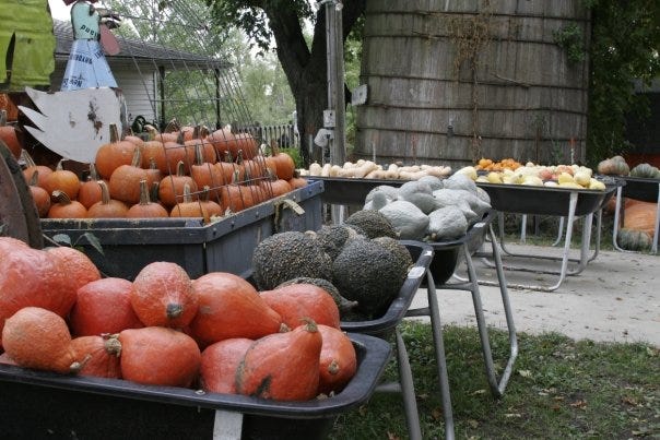 Pumpkin patches, apple orchards and corn mazes in Des Moines-area: 2020 ...
