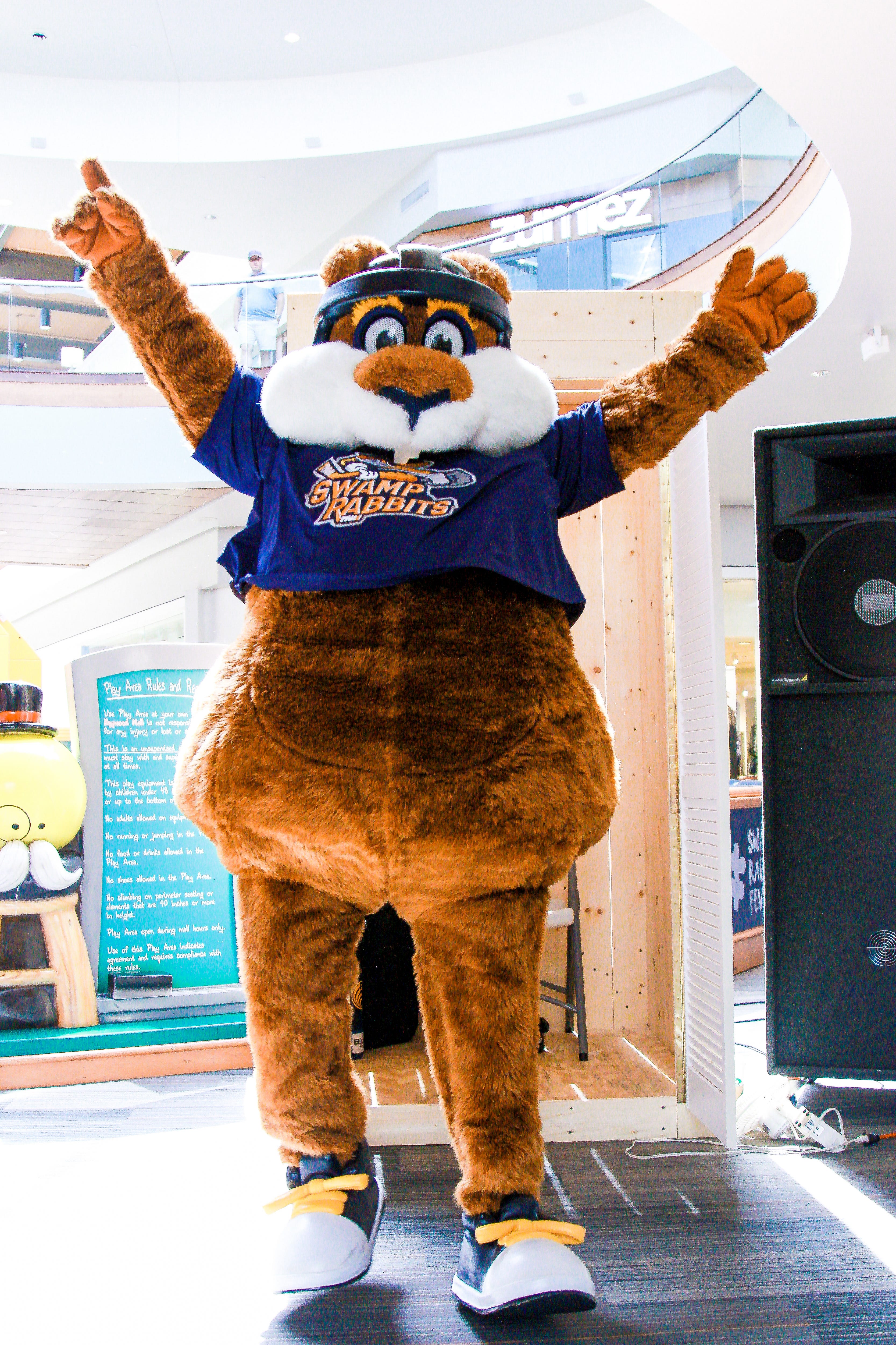 Swamp Rabbits weldome fans to home opener with heroes, rally towels