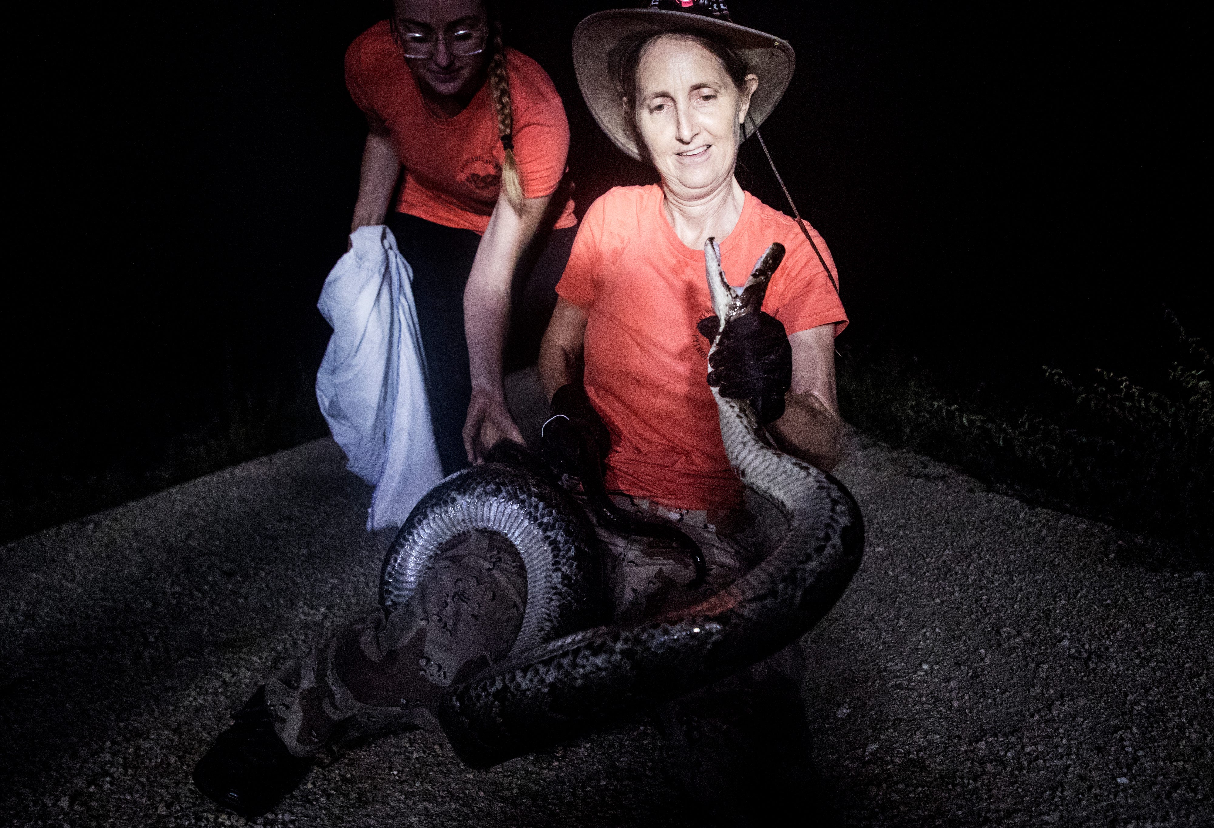 Everglades python hunter is formidable foe to invasive species in Florida