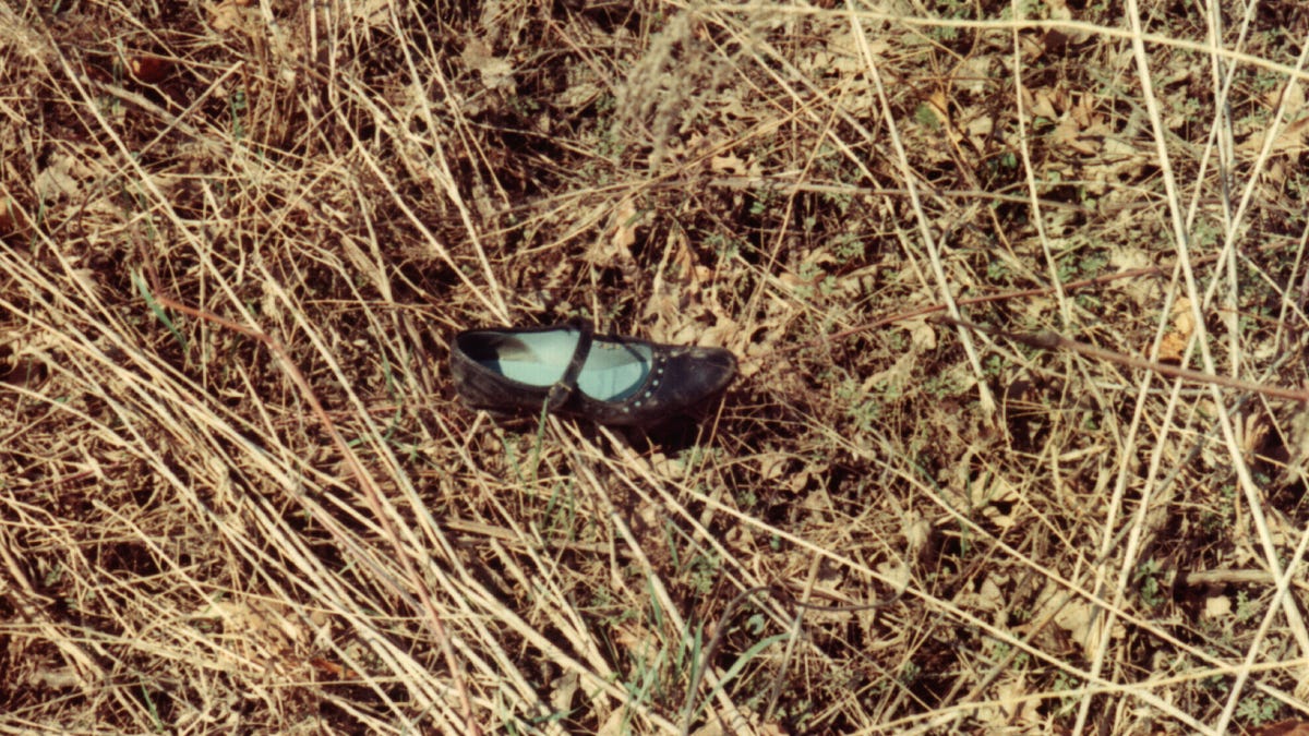 Unsolved Michigan murders of 1960s led police to John Norman Collins