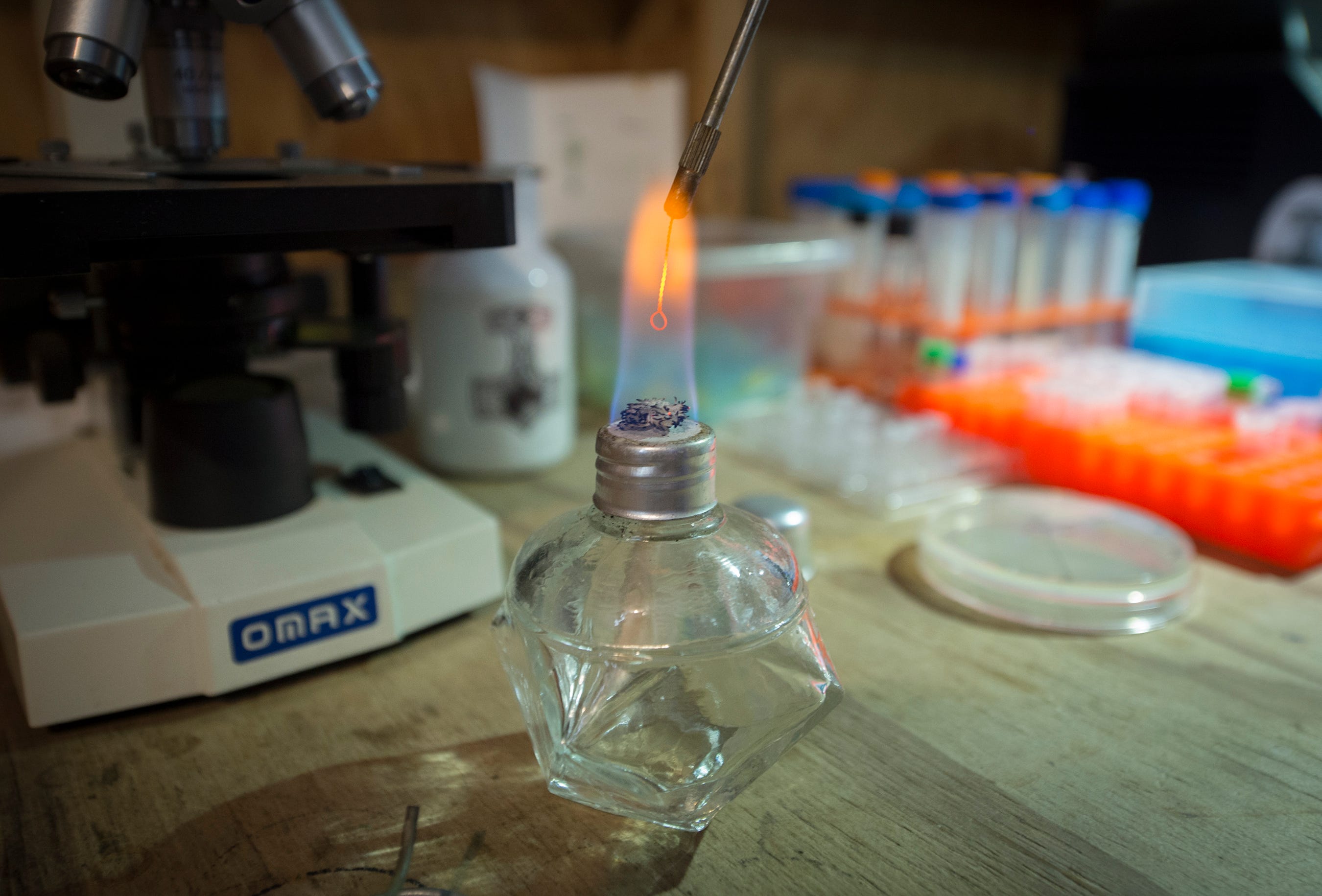 'Unnatural Selection' on Netflix: David Ishee alters dogs' genetics