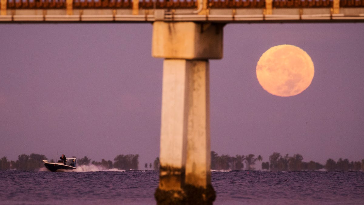 Full moon, sunrise over Florida makes for beautiful combination | Photos