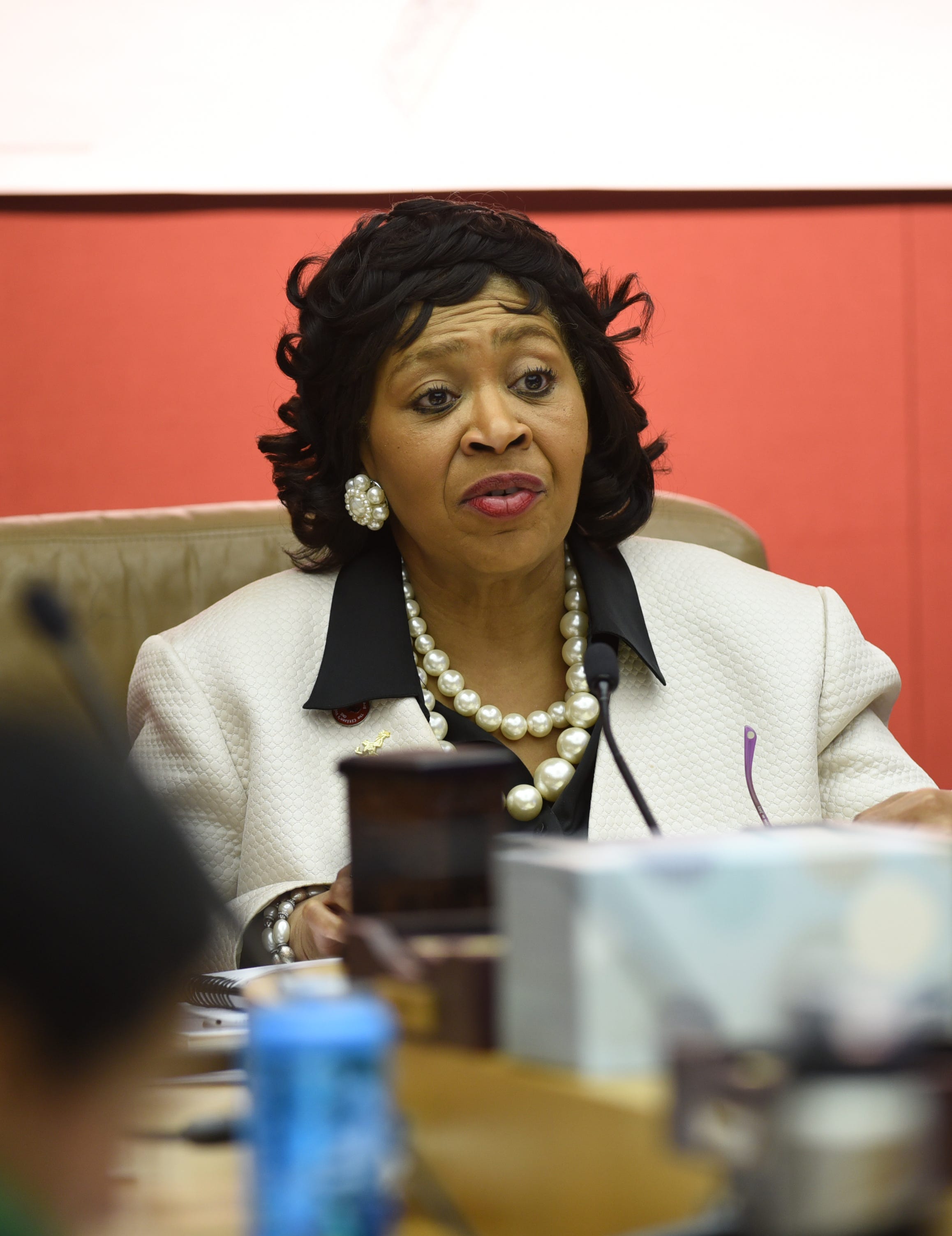 Activist's lawsuit aims to kill Jones' challenge of Tlaib