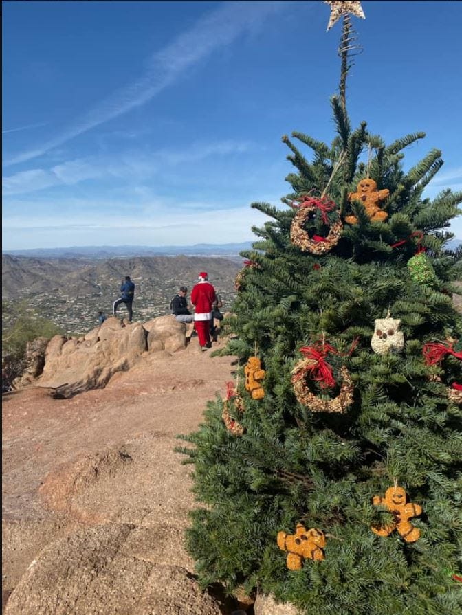 The Camelback Mountain Christmas tree in Phoenix is back for 2019