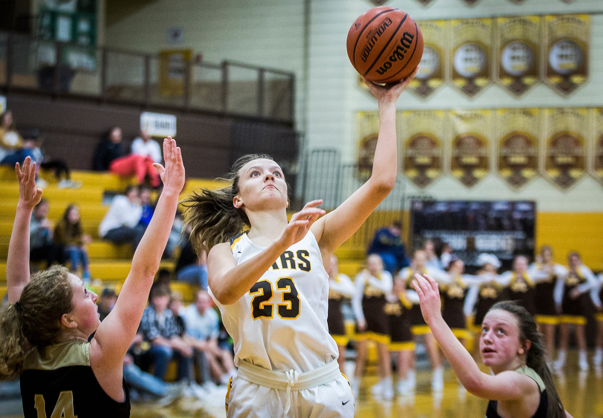 Indiana high school basketball: Heather Pautler has Daleville legacy