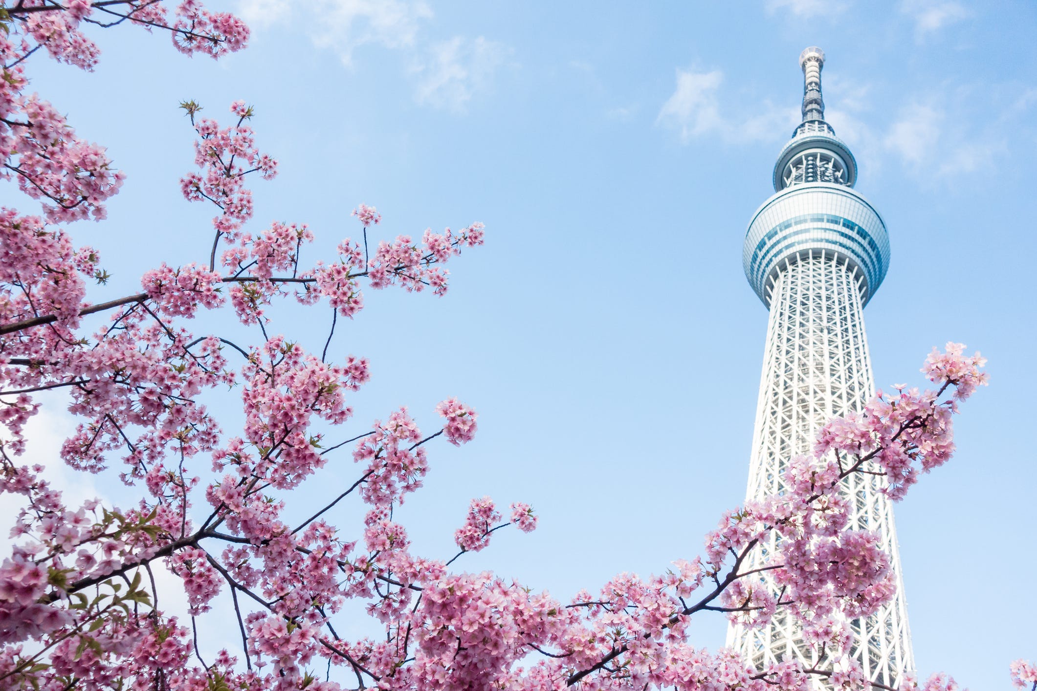 Toyko: 10 things you have to try if you visit the Japanese capital