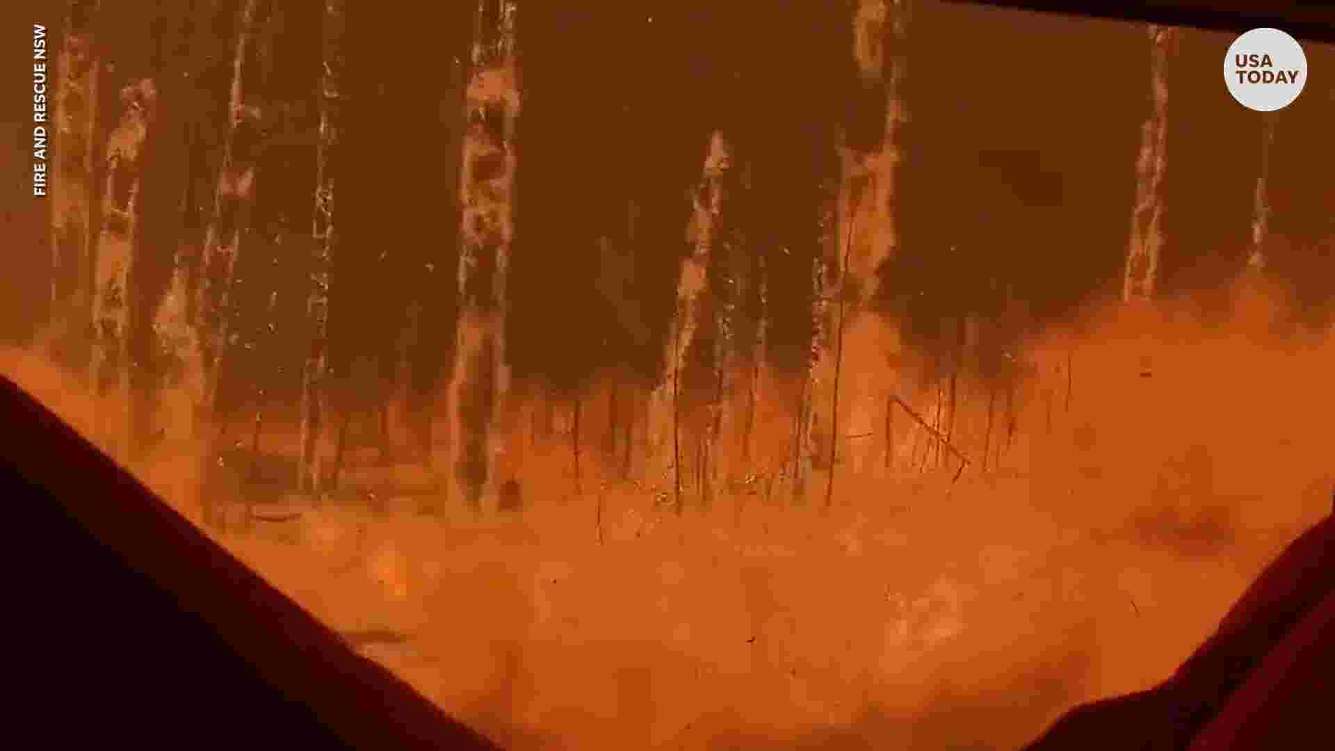 Terrifying, up-close view of Australian bushfires ravaging forest.