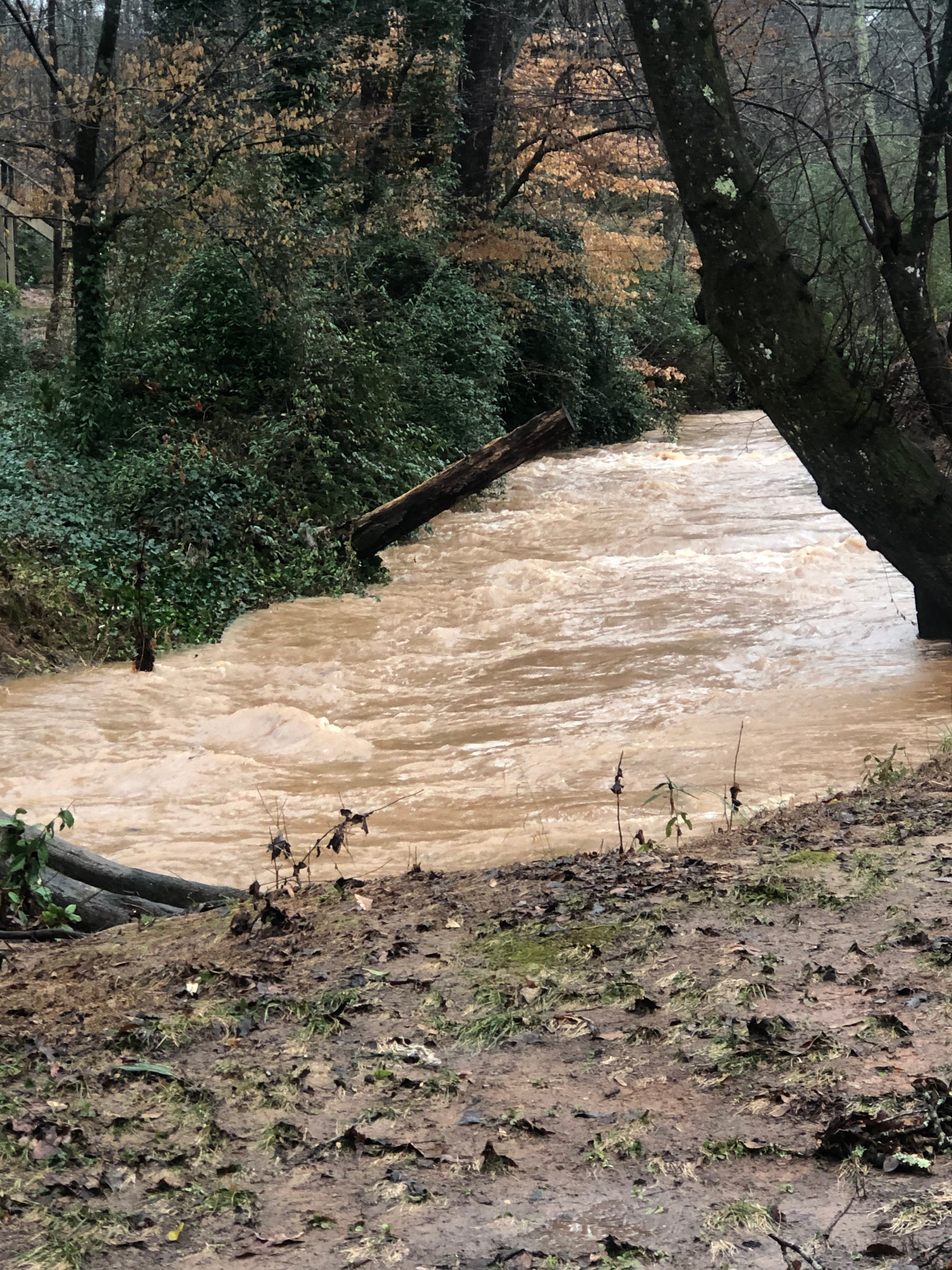 Parts of Pendleton roads closed due to flooding, Clemson sees nearly 2 ...