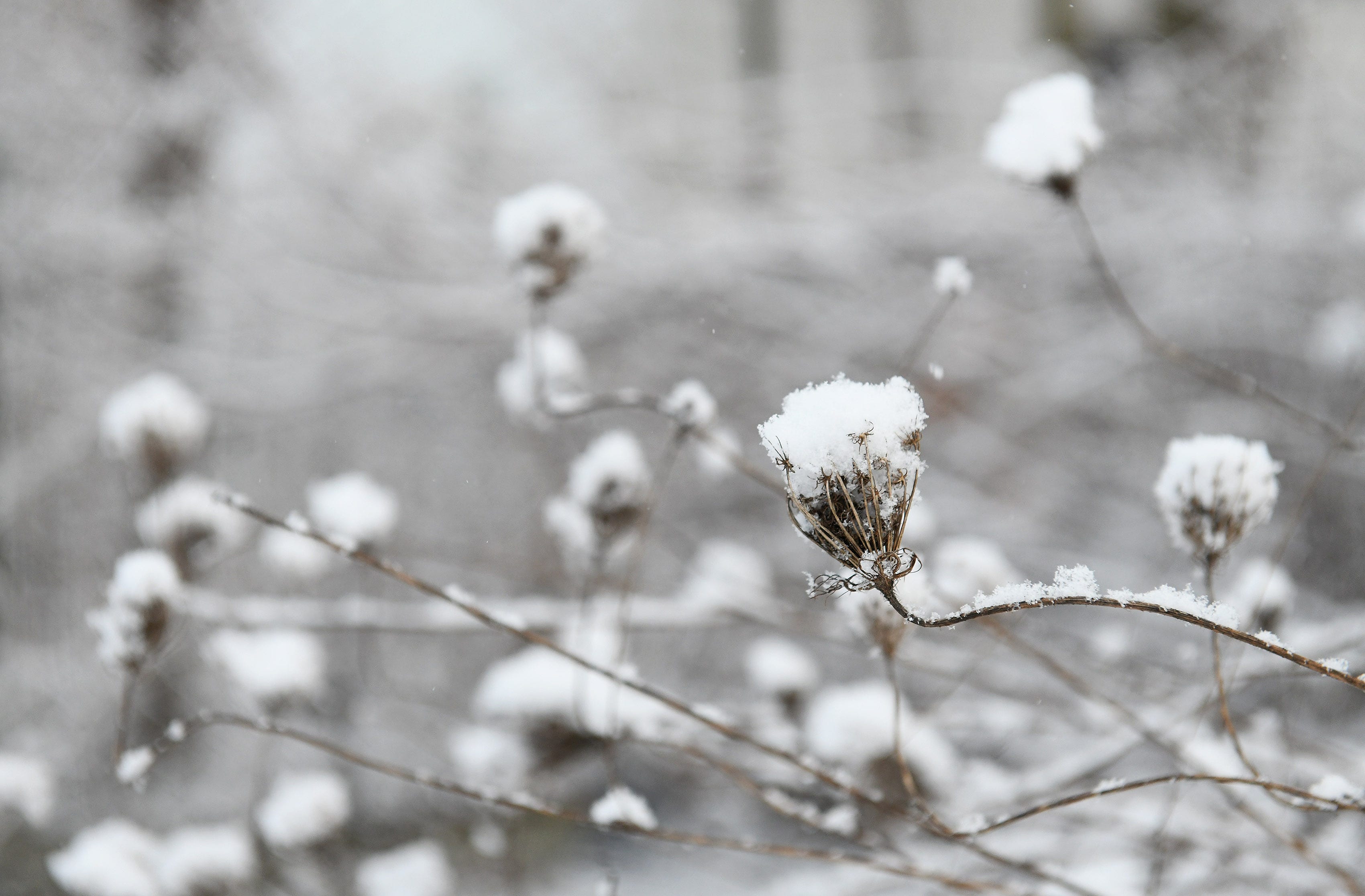U.P. man, 42, hits tree, dies in snowmobile crash