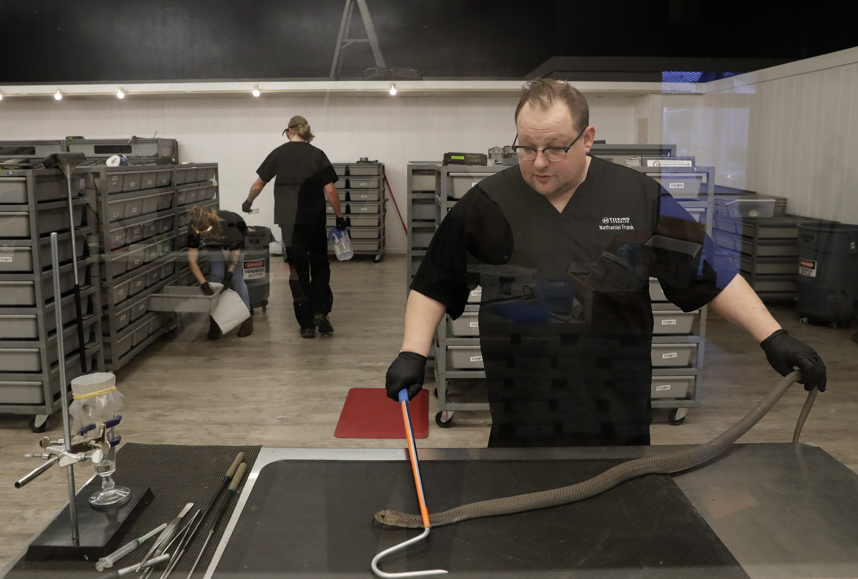 MToxins Venom Lab educates public on importance of venomous species