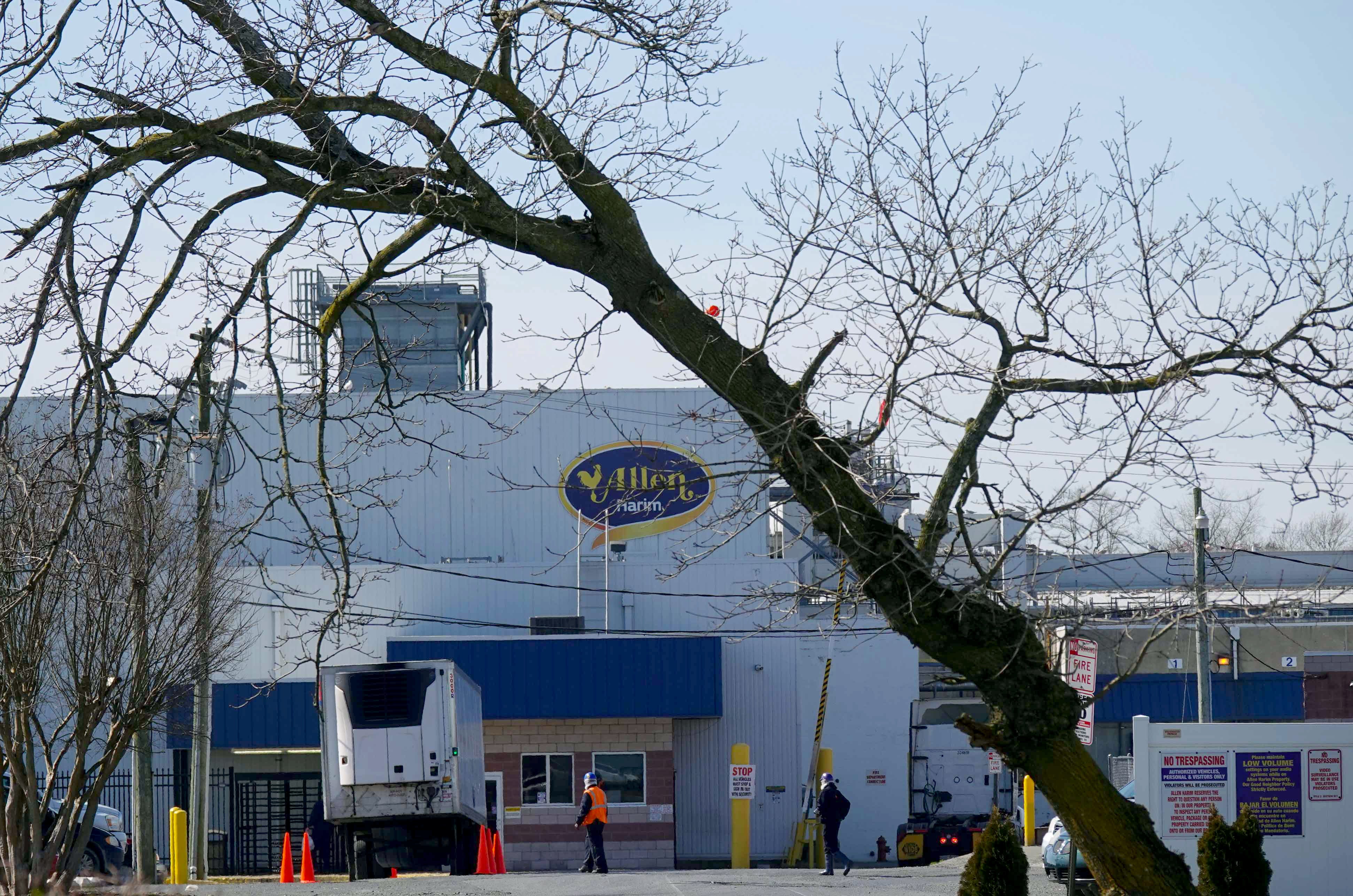 Allen Harim chicken plant reopens, yet 'sanitary conditions' that ...