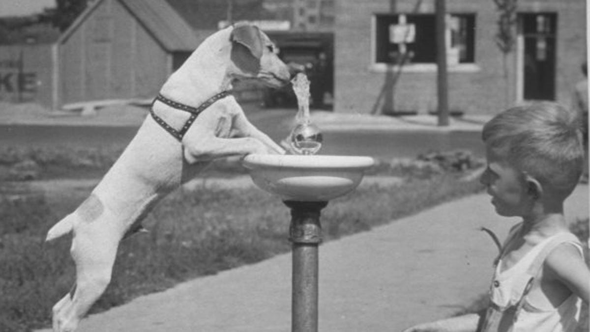 A look at Milwaukee's bubblers (drinking fountains to you) through the ...