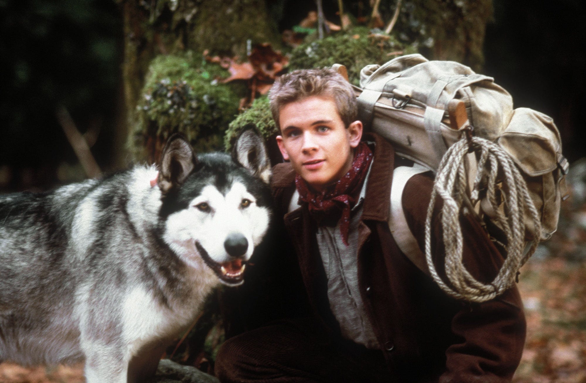 'Call of the Wild': Harrison Ford's dog Buck isn't a husky; here's why
