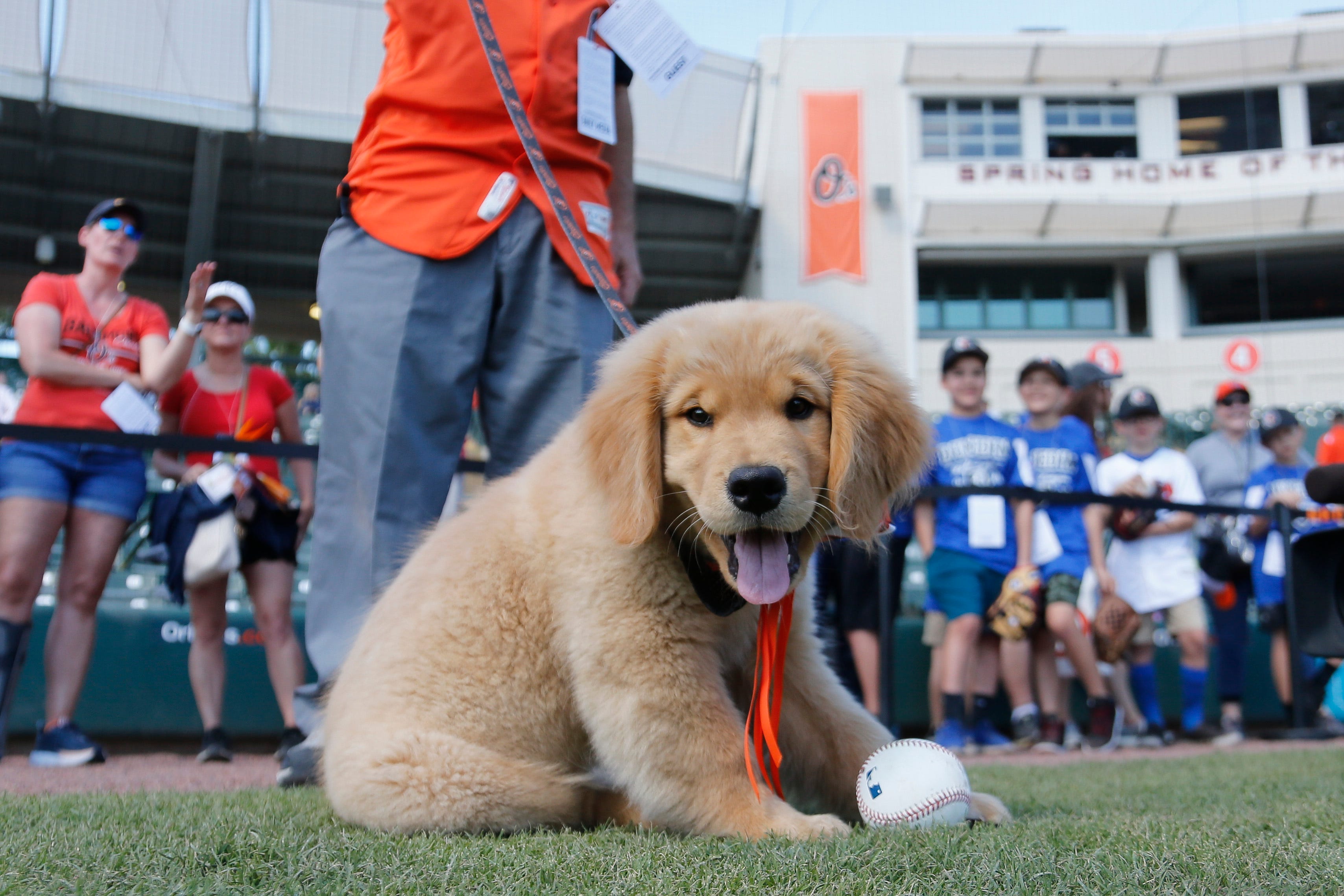 Videos and Photo Galleries | USA TODAY