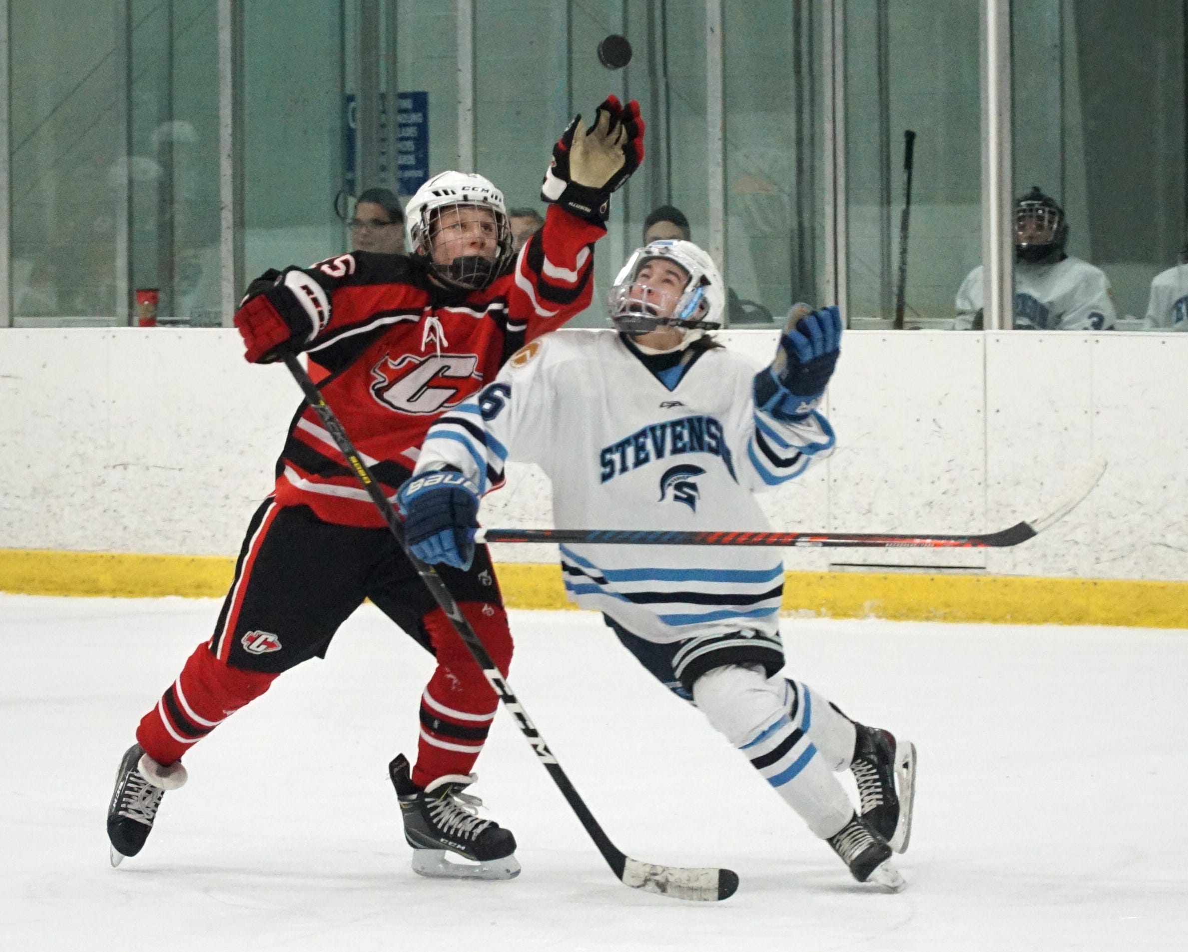 Stevenson hockey makes regional final with dominant win against Canton