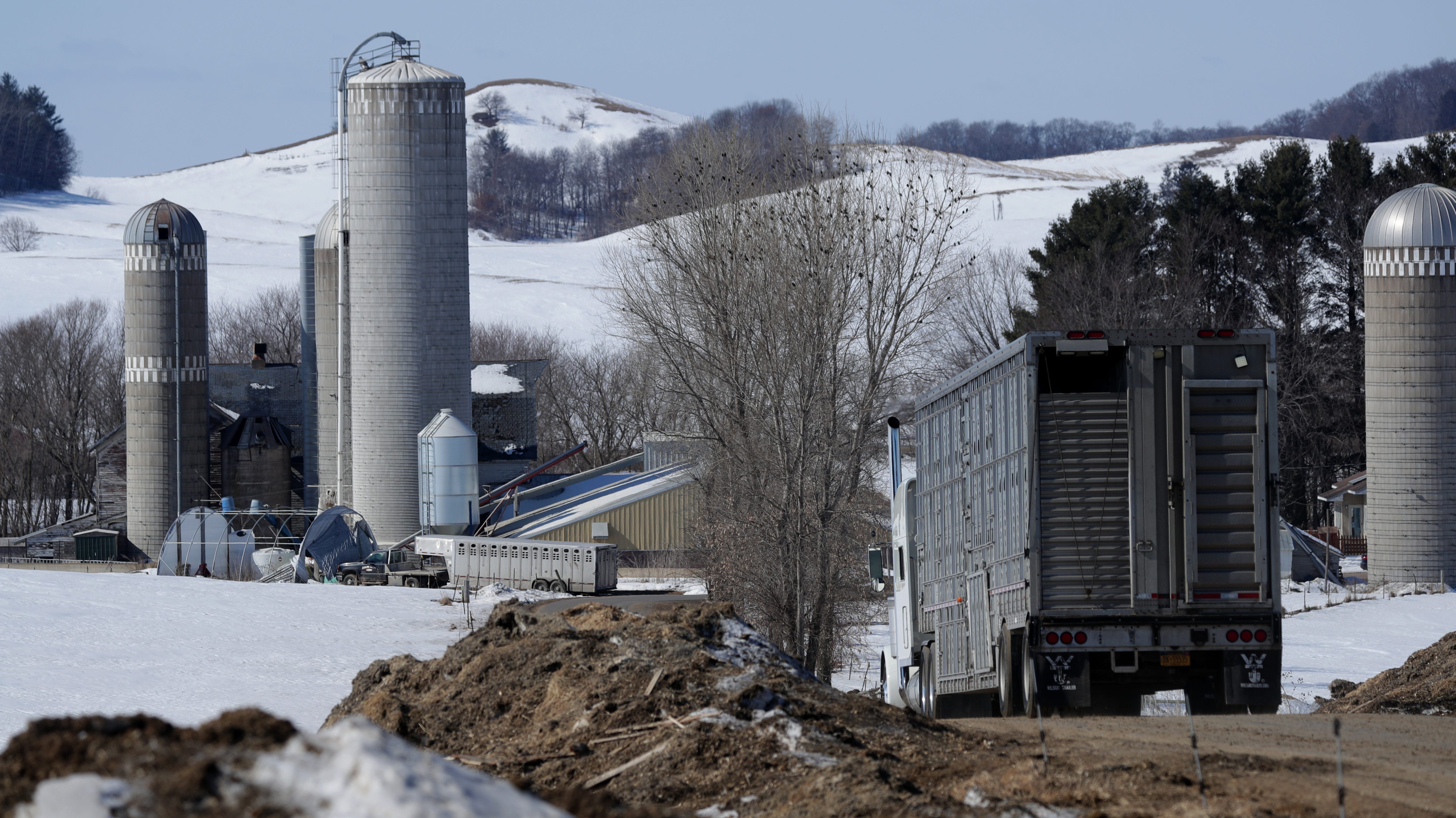 Wisconsin's Adams Dairy Farm closing, selling cows after 148 years
