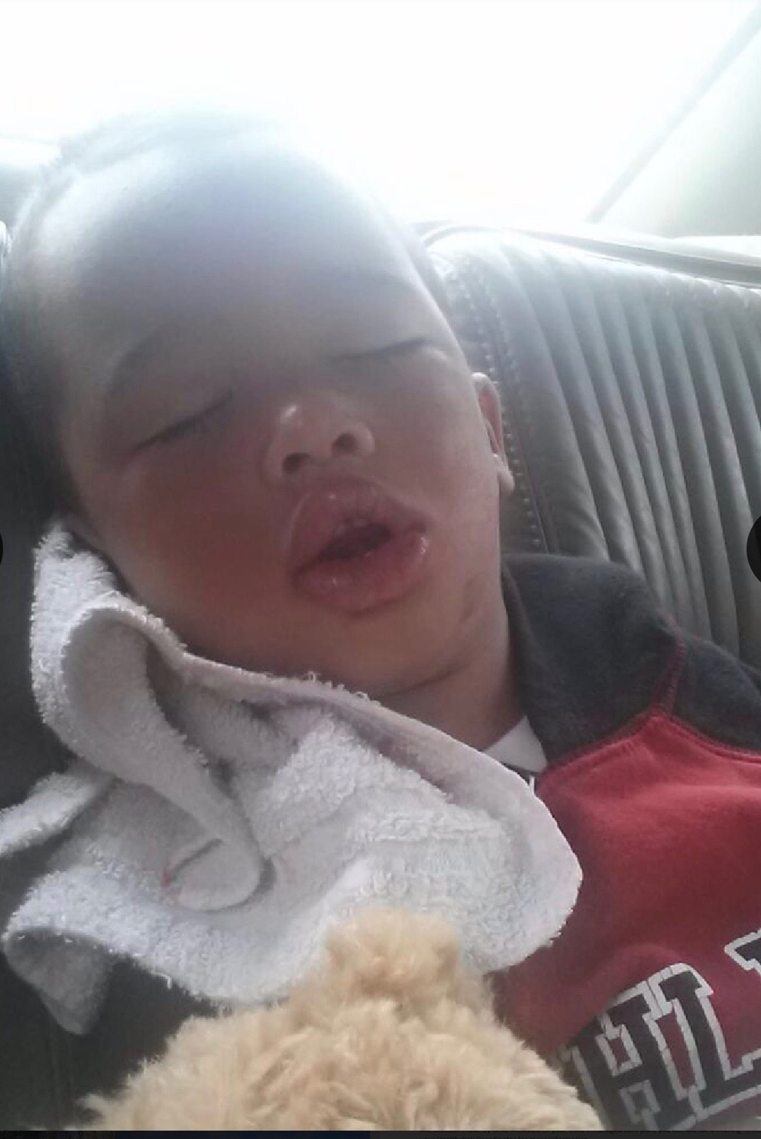 Dental boards provide little protection for patients