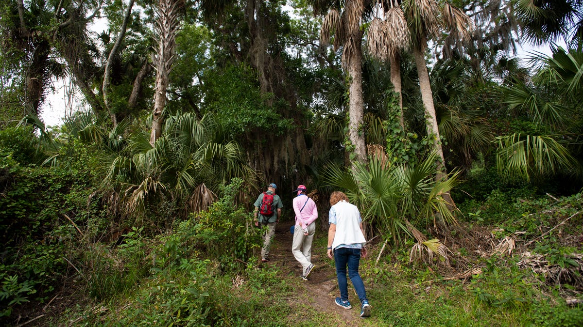 A guided hike around George LeStrange Preserve provides fresh air to ...