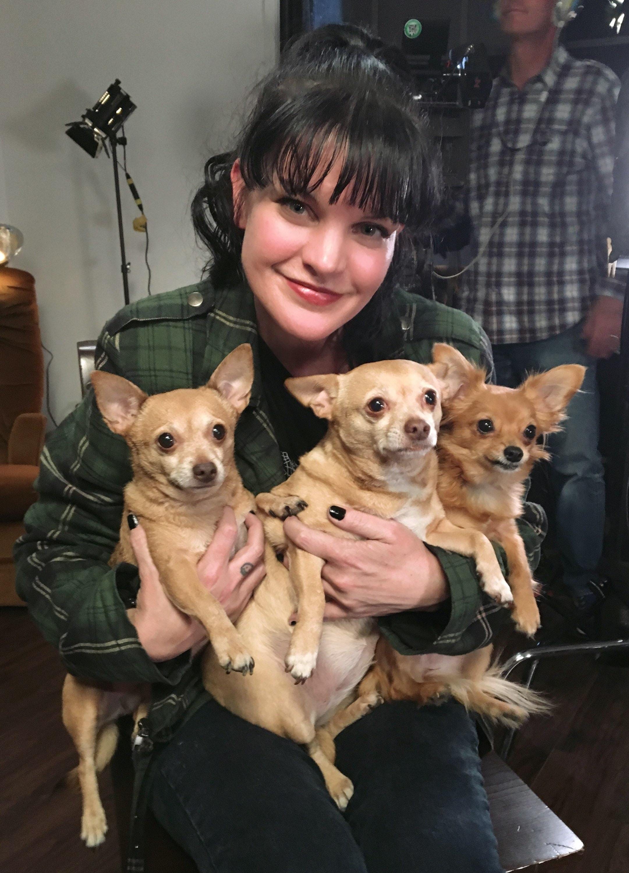 Pauley Perrette offers 7 stay-at-home tips in age of coronavirus