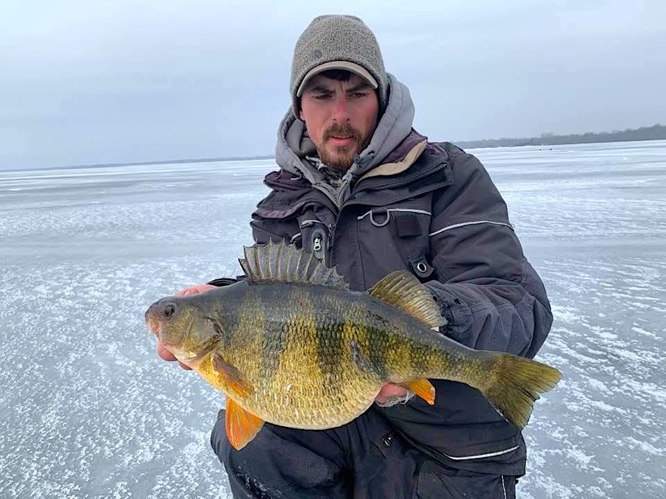 World Record Yellow Perch