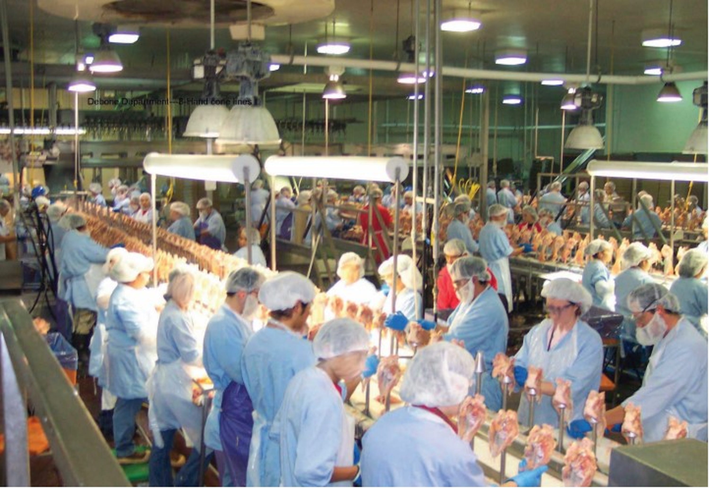 Meatpacking plants: COVID may force choice of worker health or food