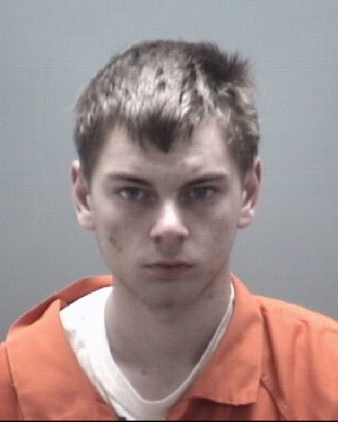 Police: Sunfield Twp. man charged with murder killed mother with sword