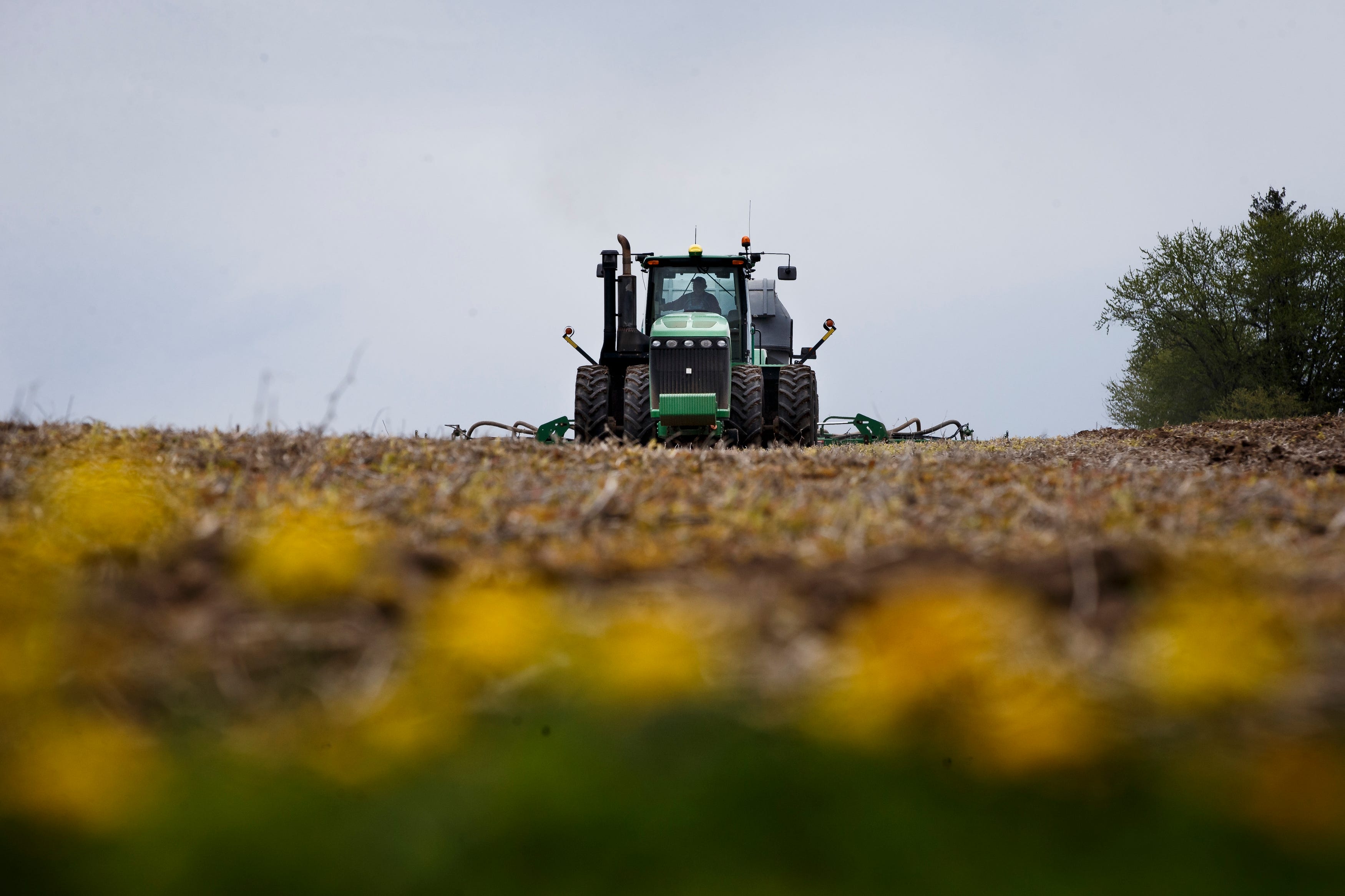 COVID-19 in Iowa: Rethinking our state's approach to agriculture