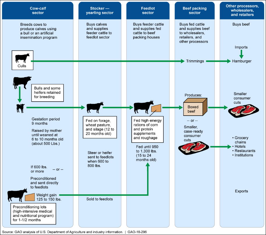 Montana senators call for sweeping changes in meatpacking industry