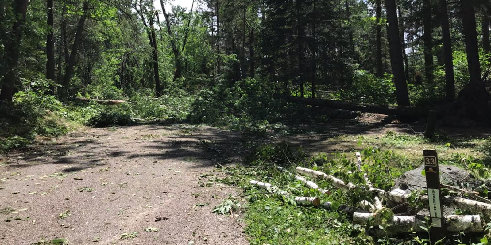 Chequamegon-Nicolet National Forest: Many roads, trails reopen