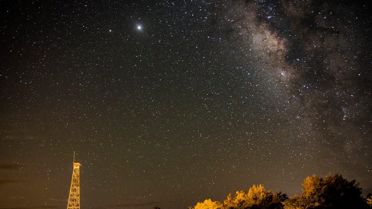 Milky Way lights Everglades night sky