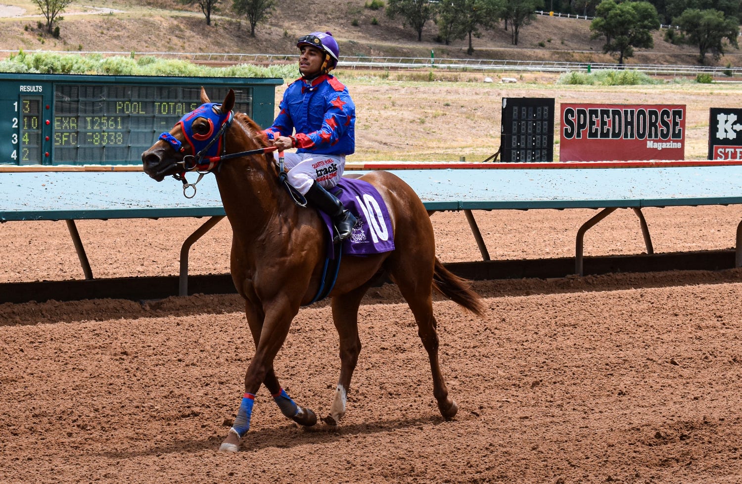 Empressum begins quest quarter horse Triple Crown at Ruidoso Downs