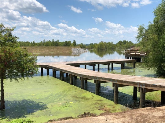 Morehouse Parish enjoys fishing at Bussey Brake after LDWF renovation