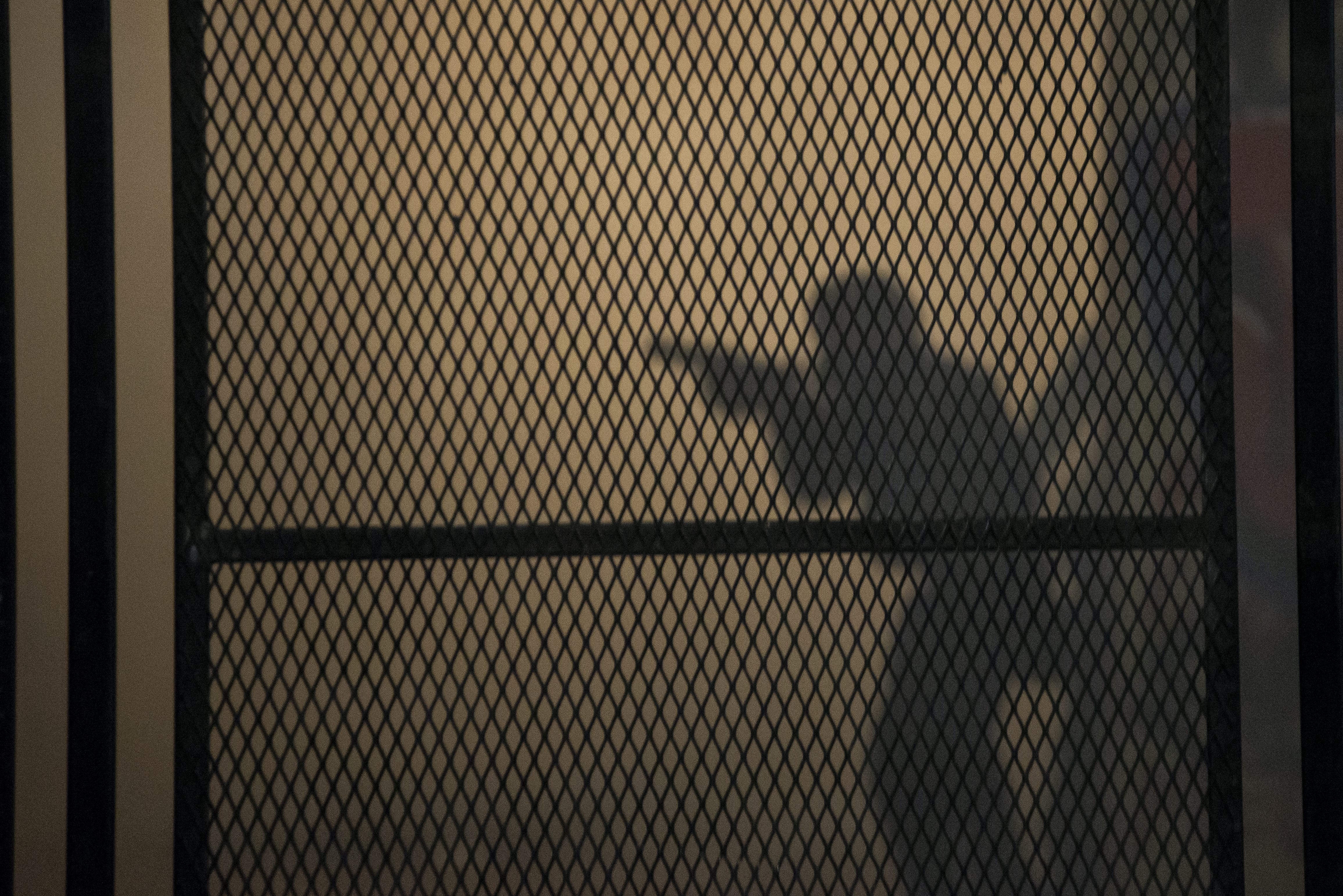 Portland protests: 100 photos, 100 days of Black lives matter effort