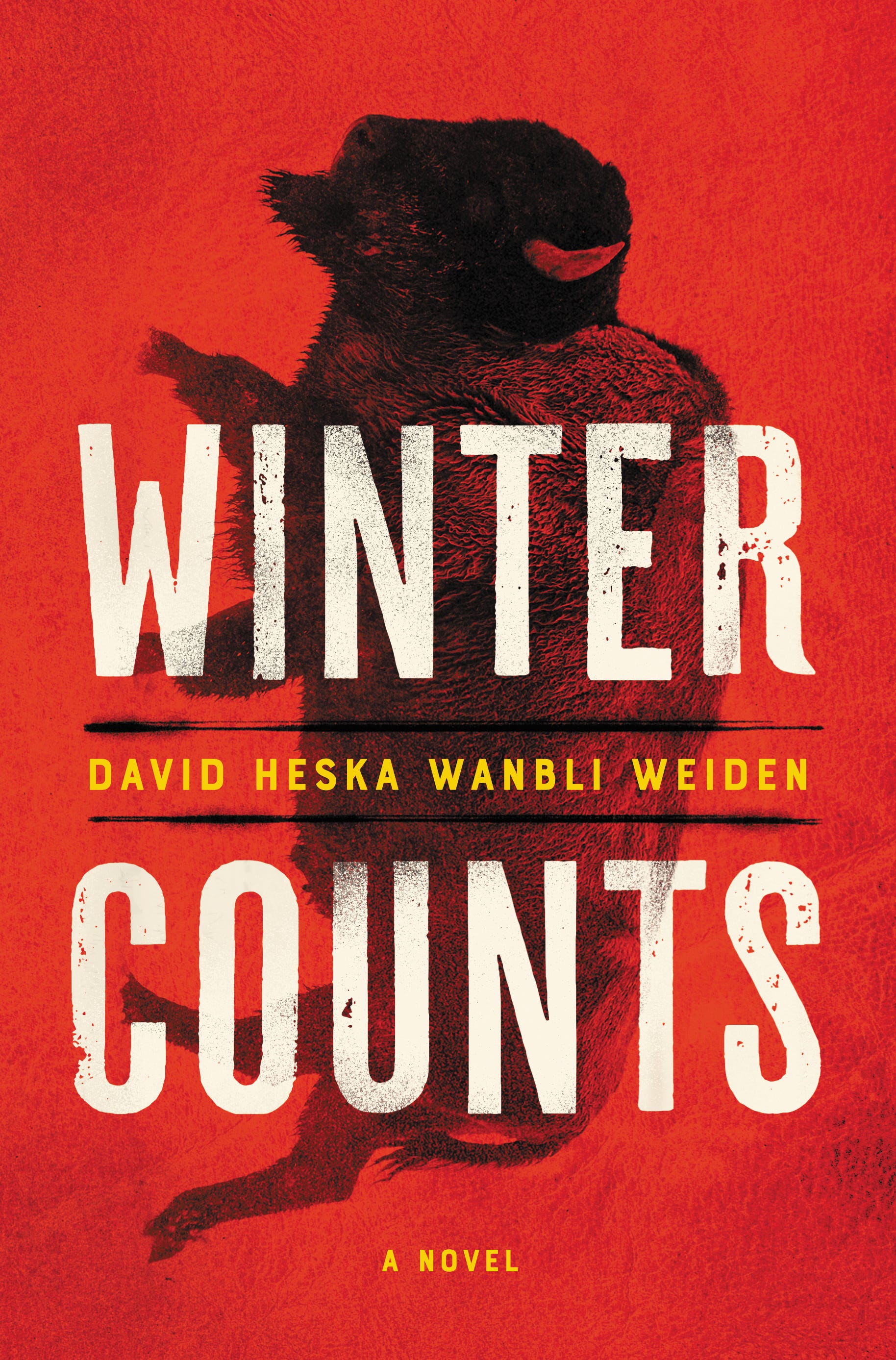 'Winter Counts' review: Insightful Lakota whodunit
