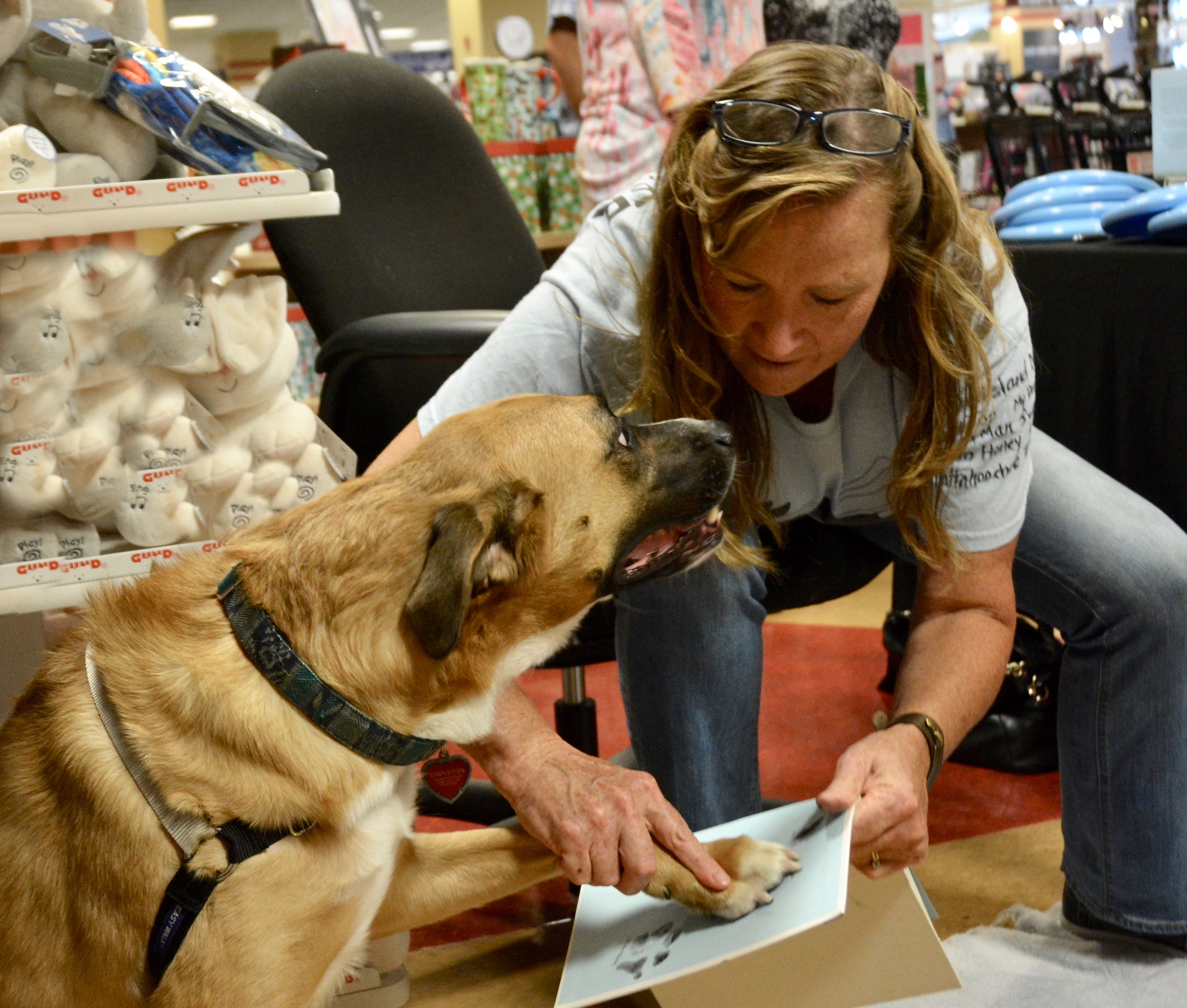 York County woman rescues 175 shelter dogs, one at a time