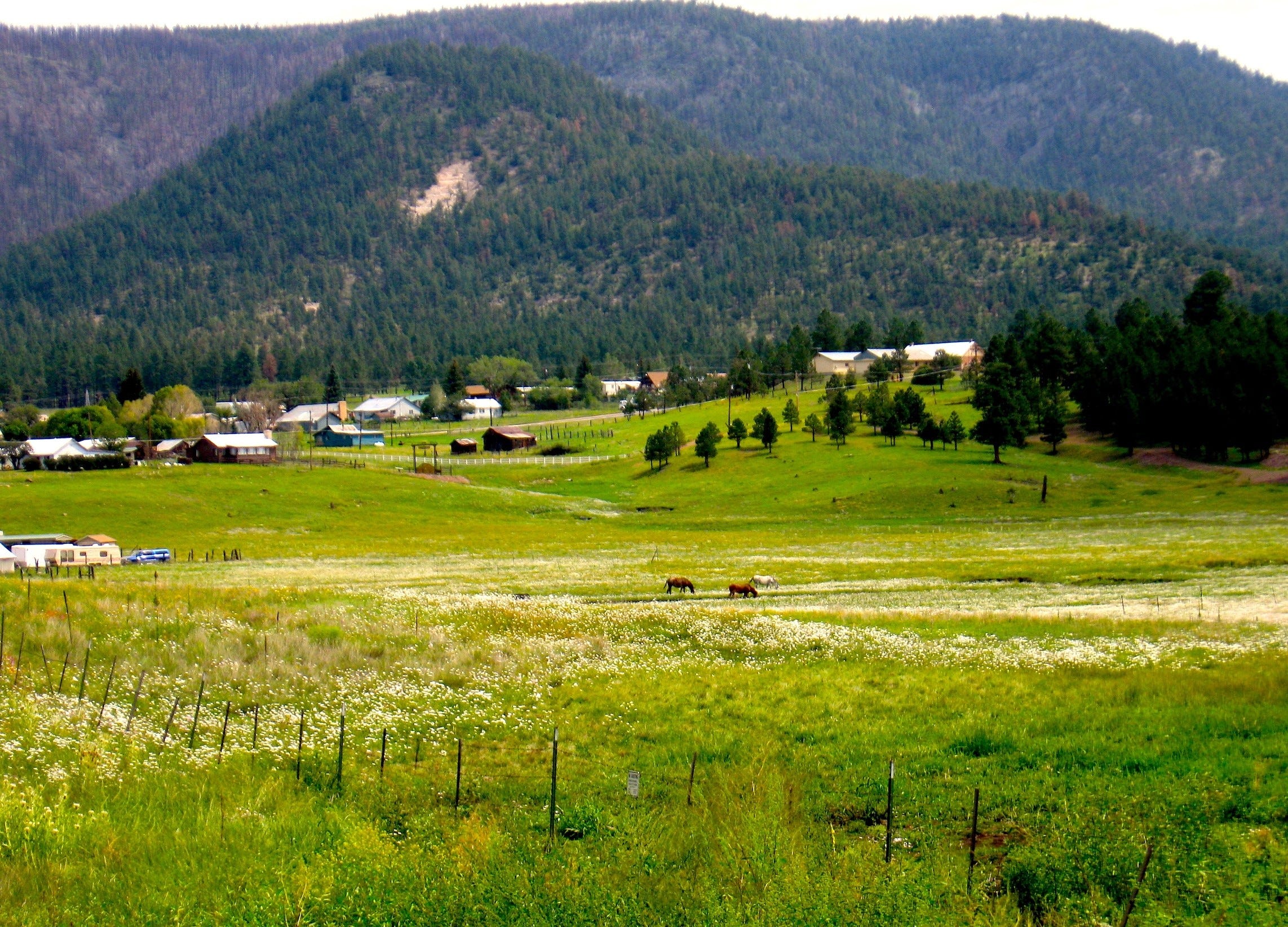 Alpine, Arizona: Restaurants, cabin rentals, things to do