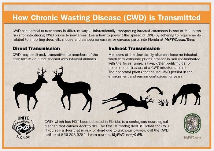 Chronic Wasting Disease is spreading through deer herds across Montana