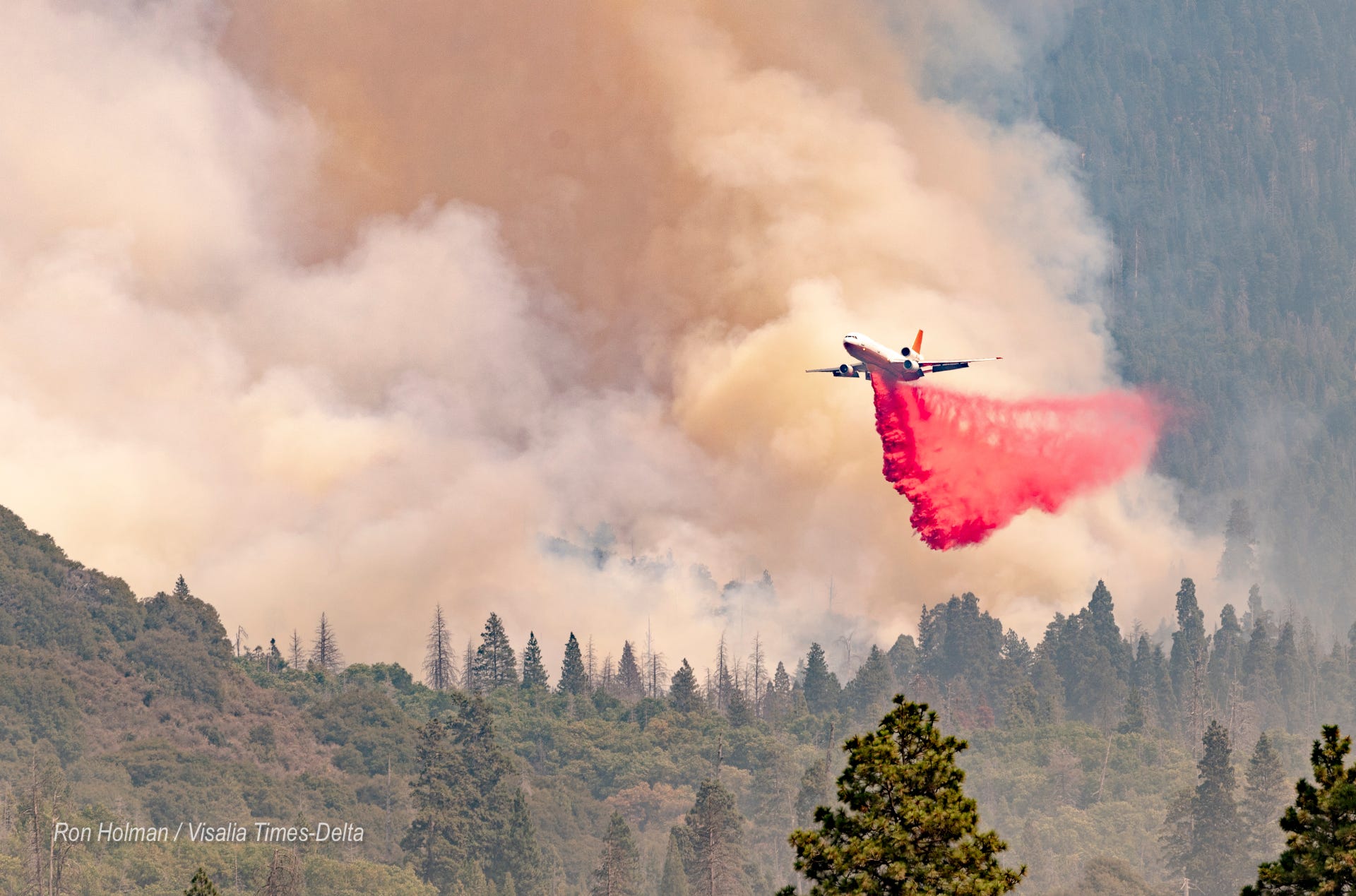 SQF Complex Fire update: Camp Nelson Ponderosa, Balch Park