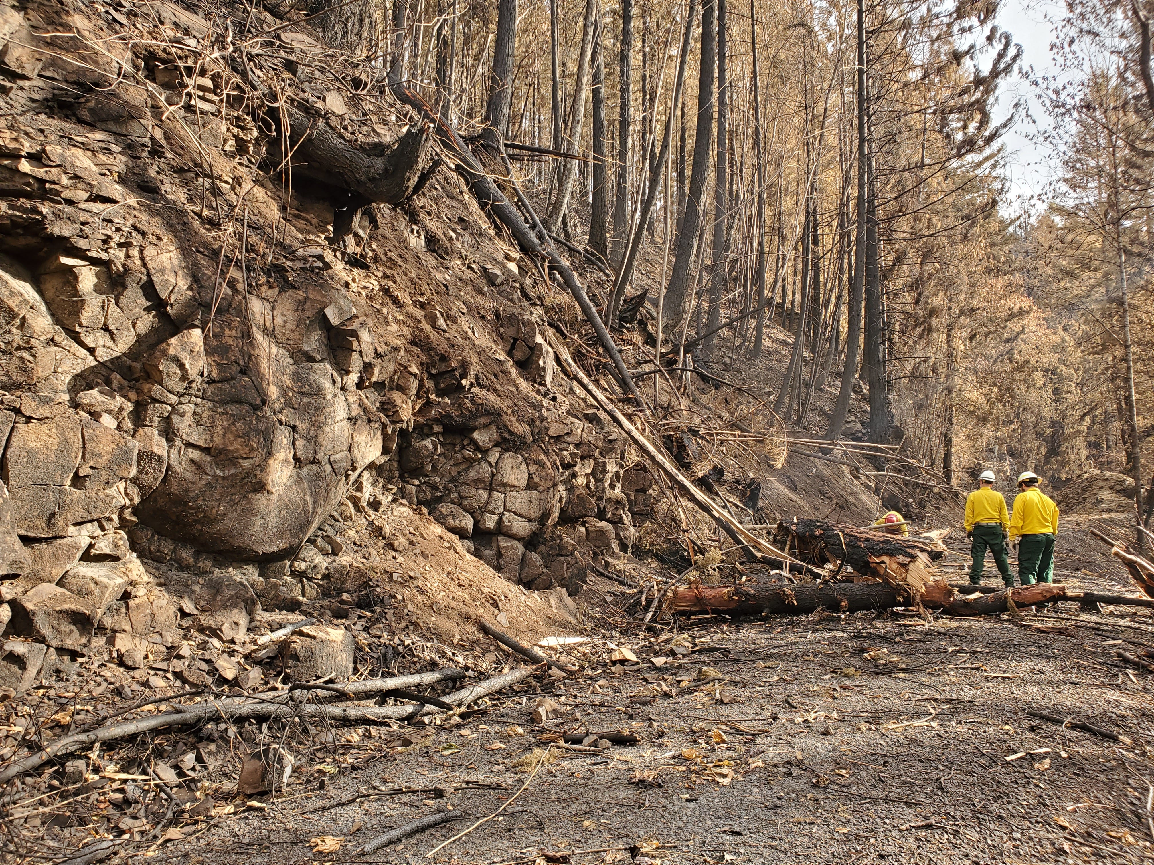 Santiam Forest post-fire logging plan sparks disagreement