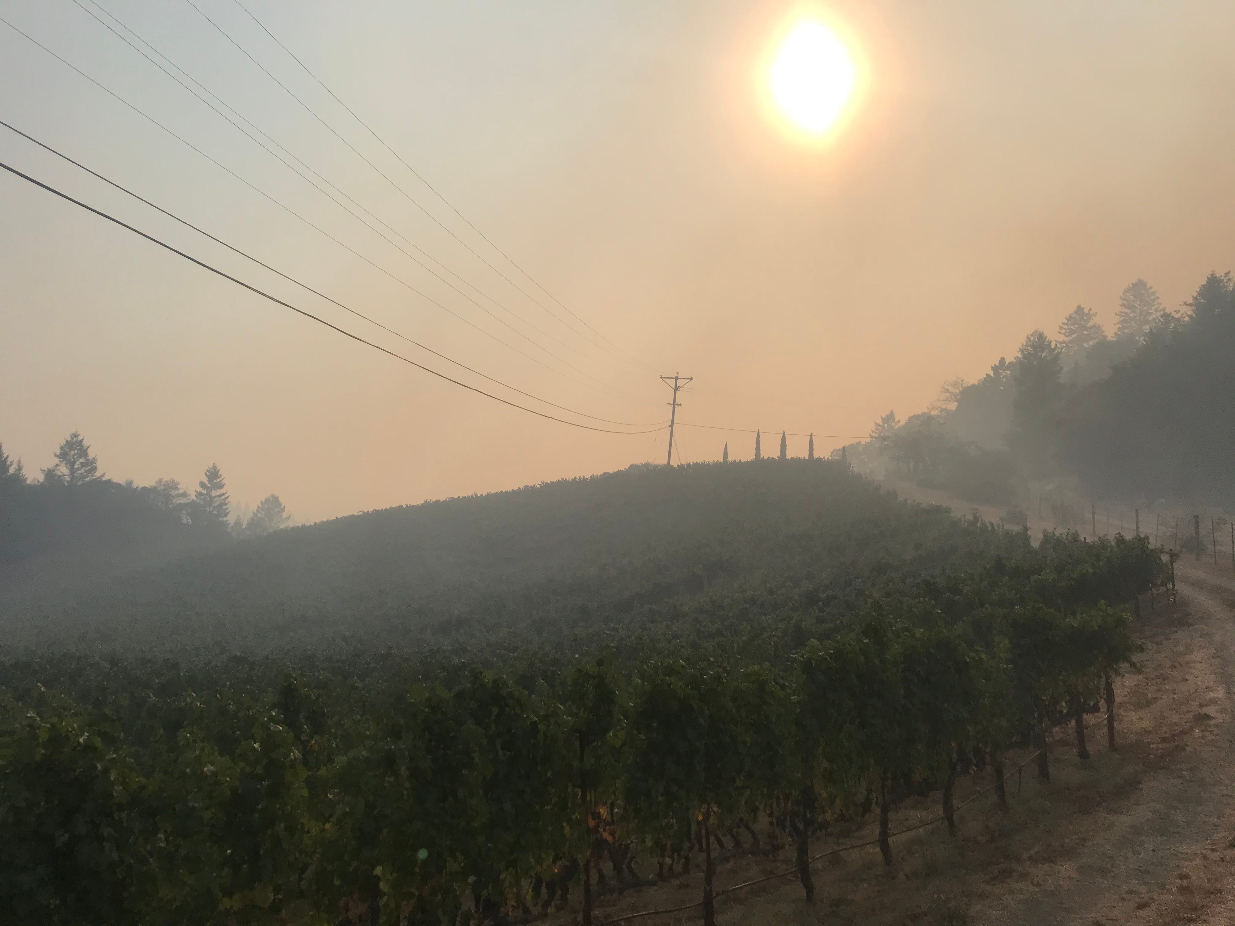 Glass Fire destruction: California's world-famous wineries impacted