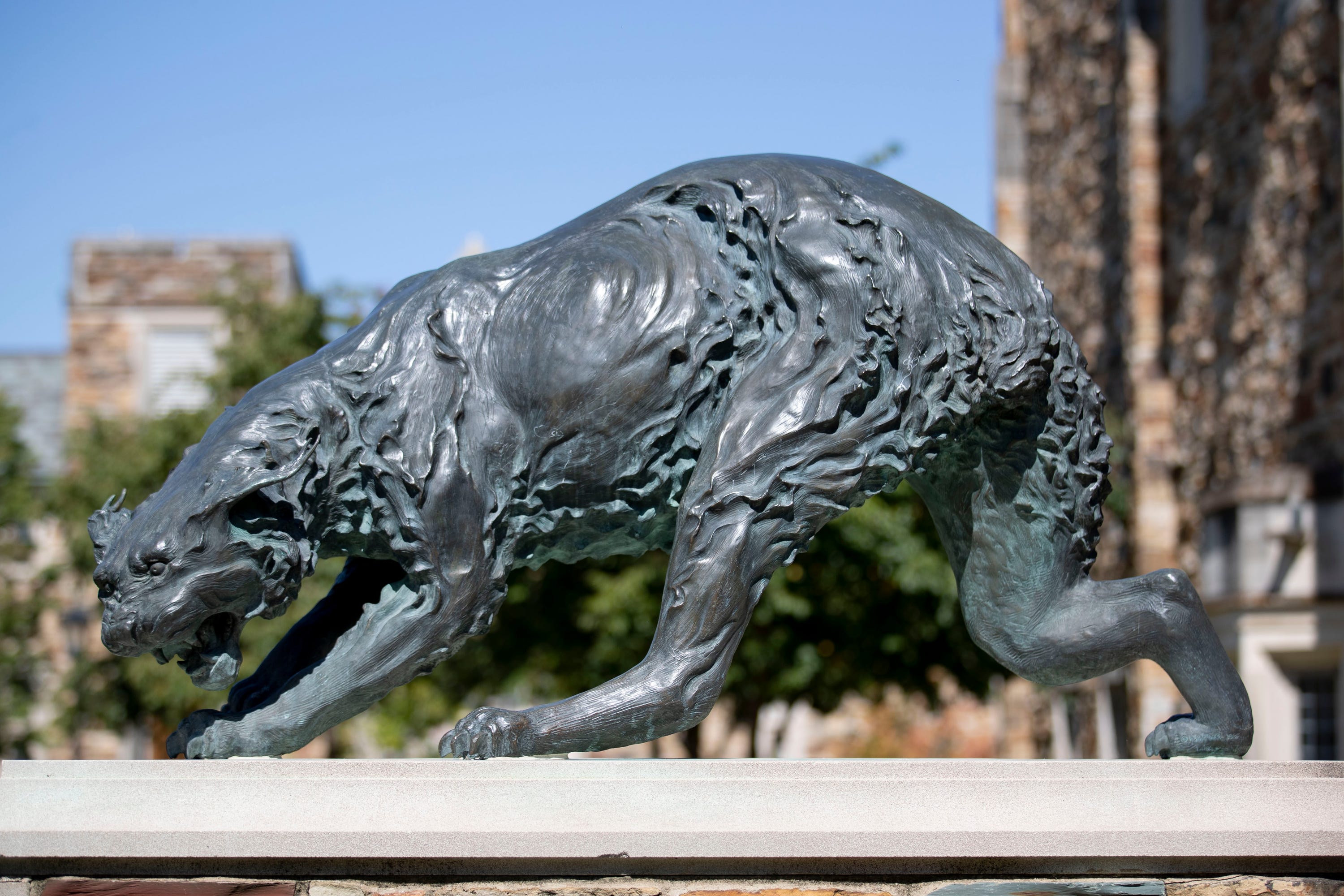 Amy Coney Barrett's path toward U.S. Supreme Court began at Rhodes College