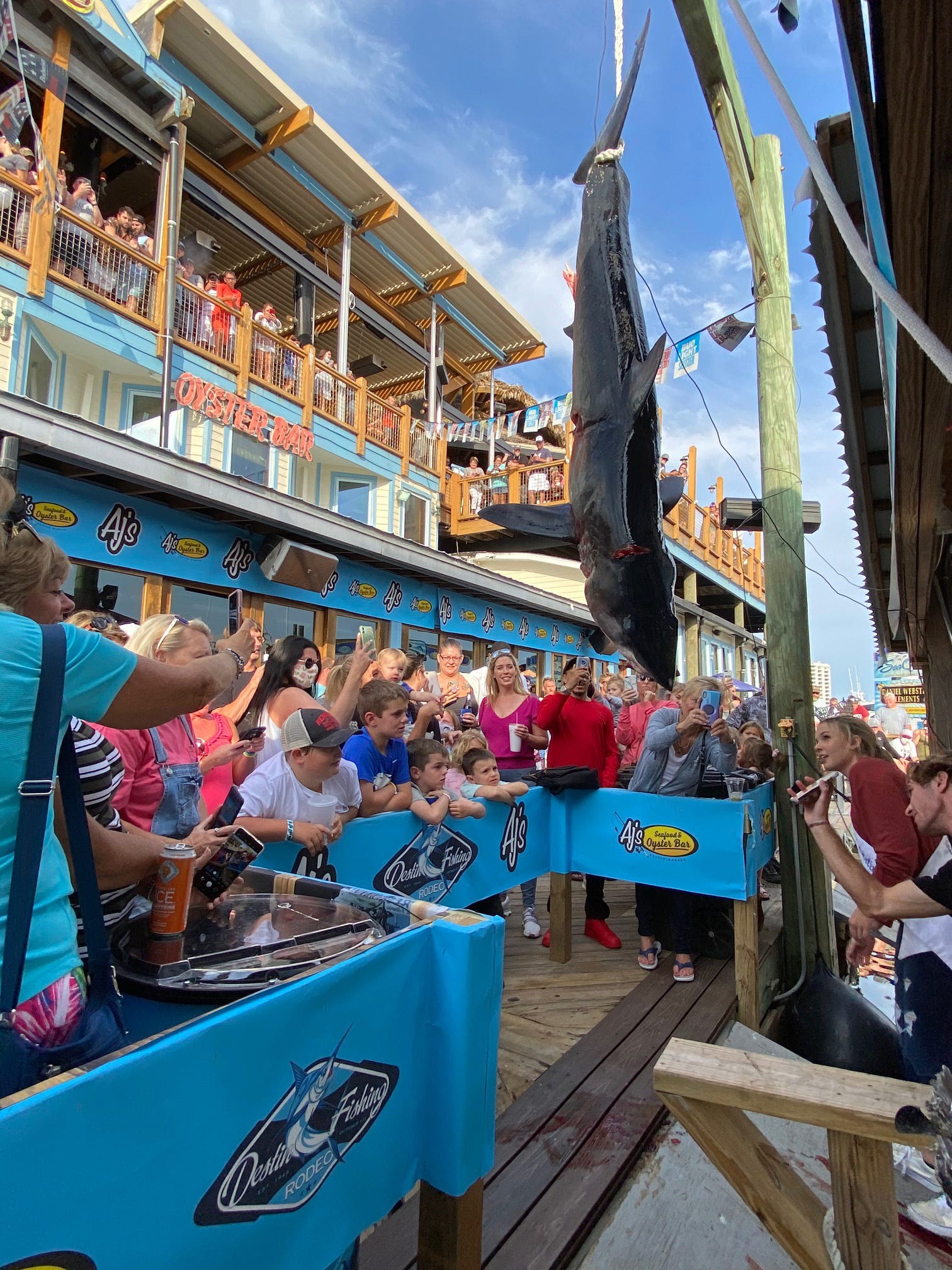 Destin Fishing Rodeo in Florida happens year-round