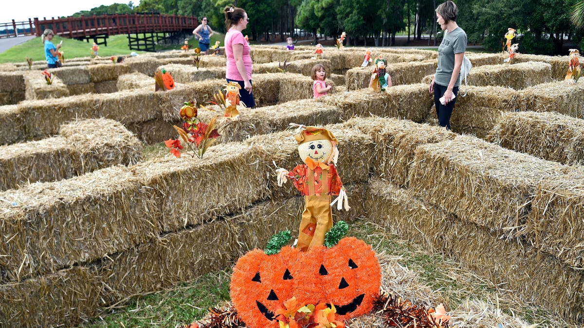 PHOTOS: Hay Maze at Nathan Benderson Park in Sarasota